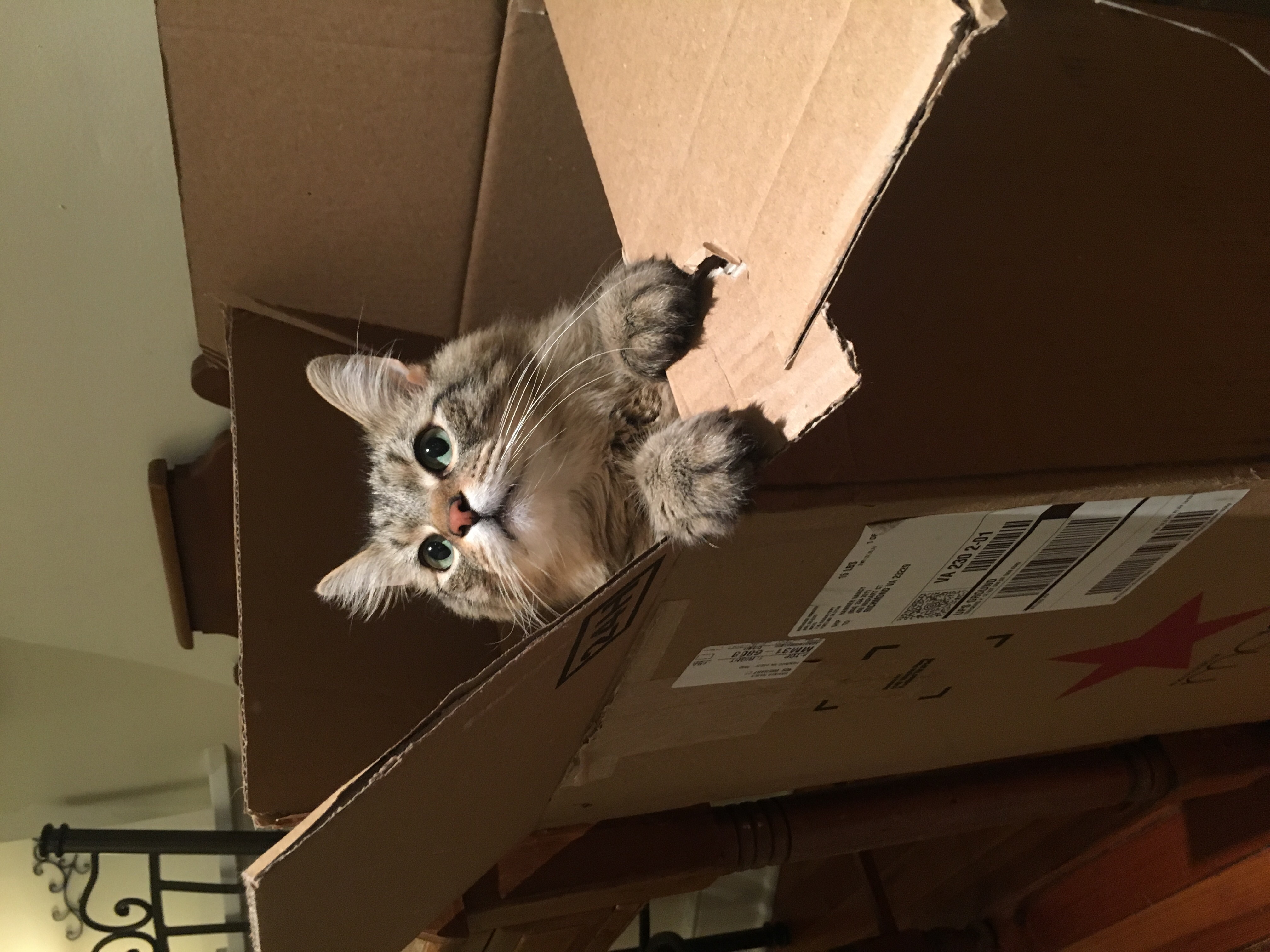 This is my box. | Scrolller