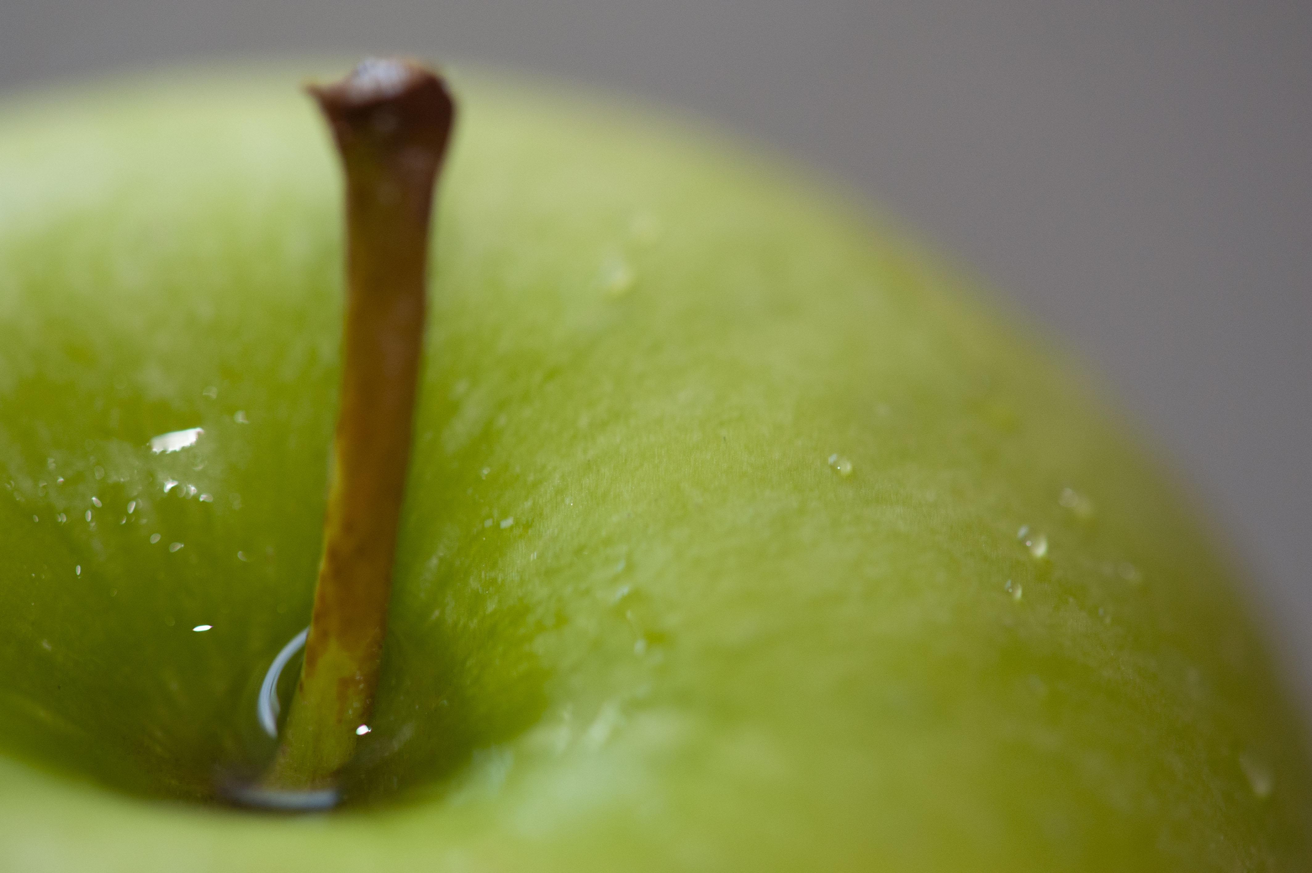 (this is my first macro) | Scrolller