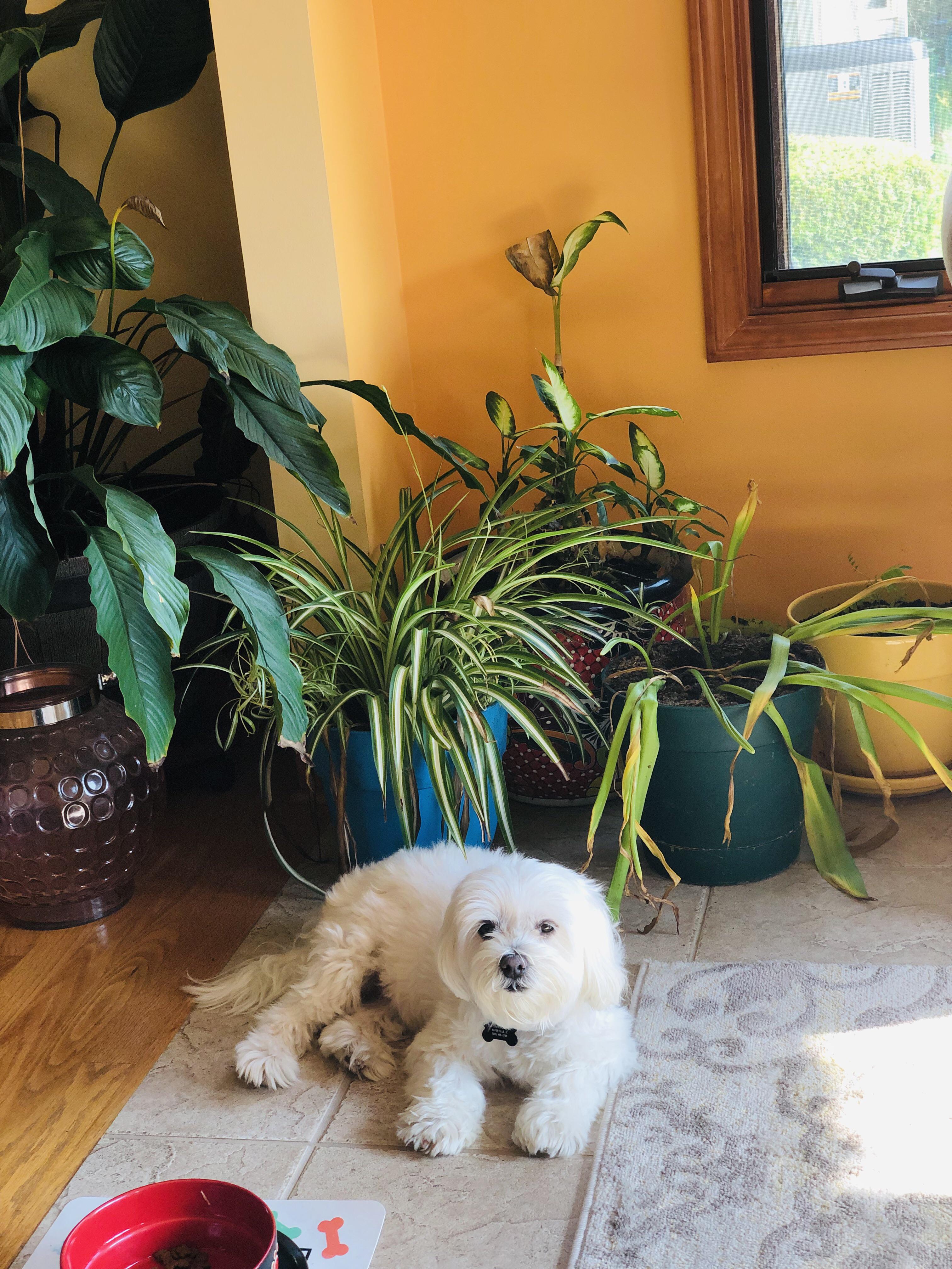 This is my handsome Tofu! | Scrolller