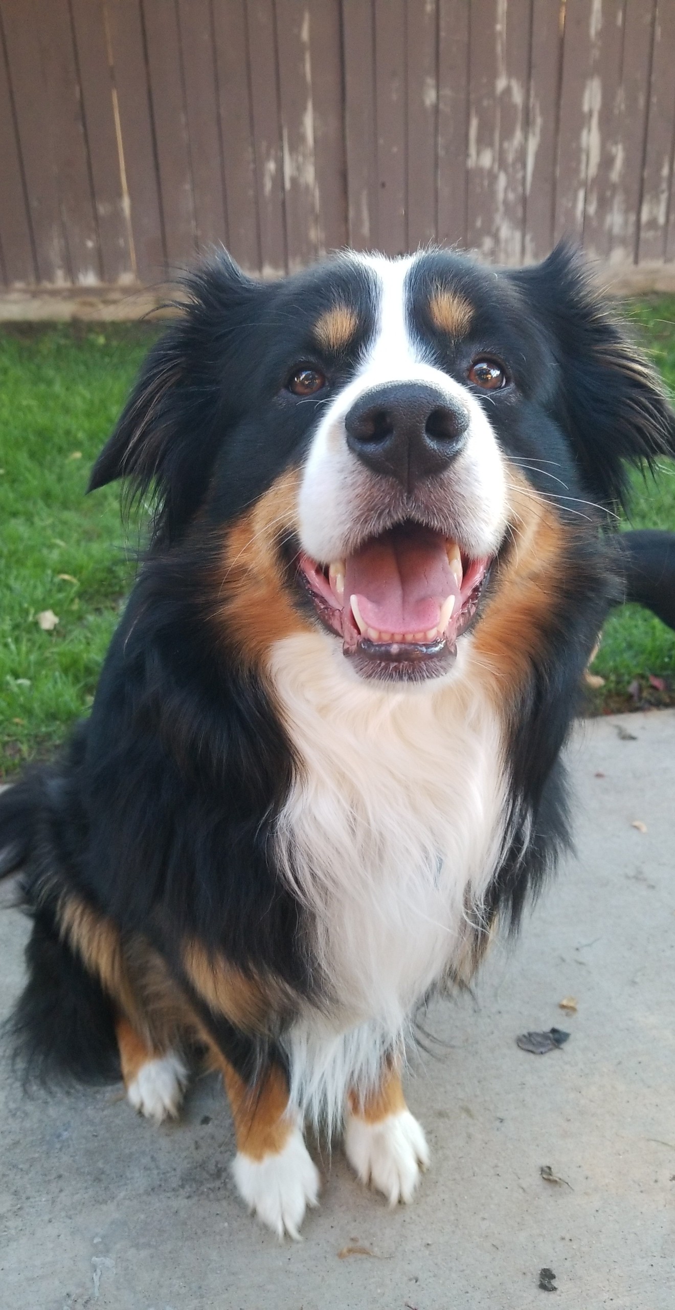 This is my son | Scrolller