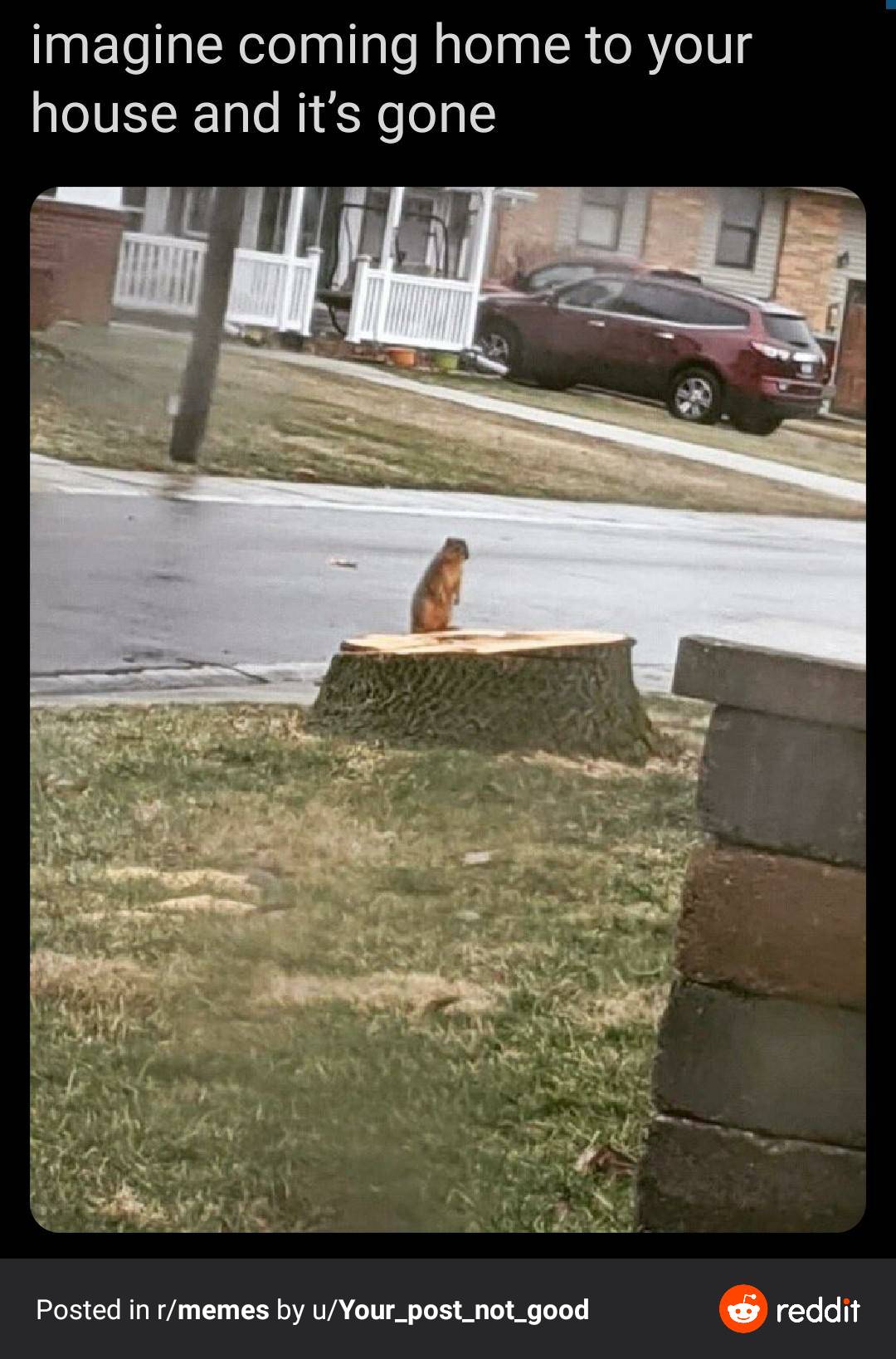 This is really sad | Scrolller