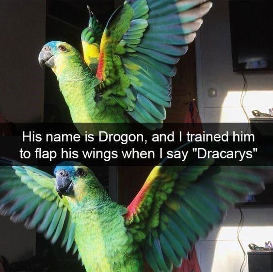 This is so awesome | Scrolller