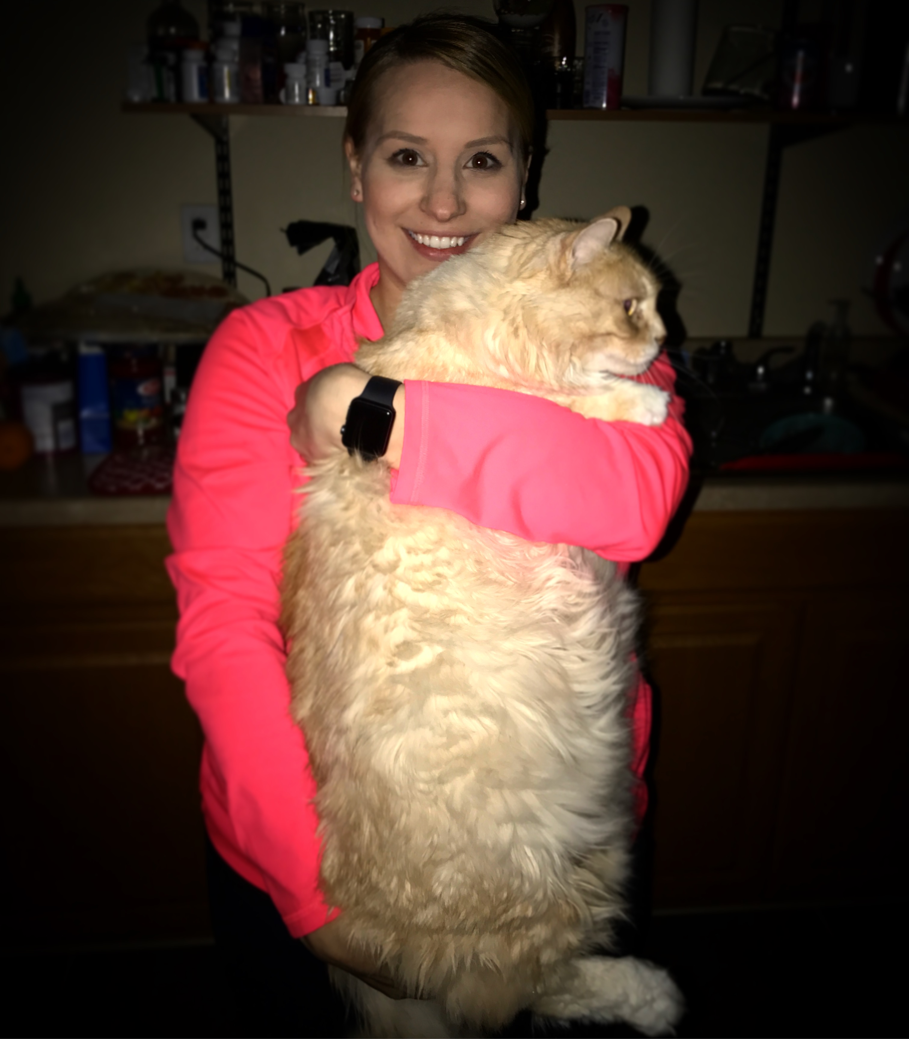 This is Sully the Monster | Scrolller