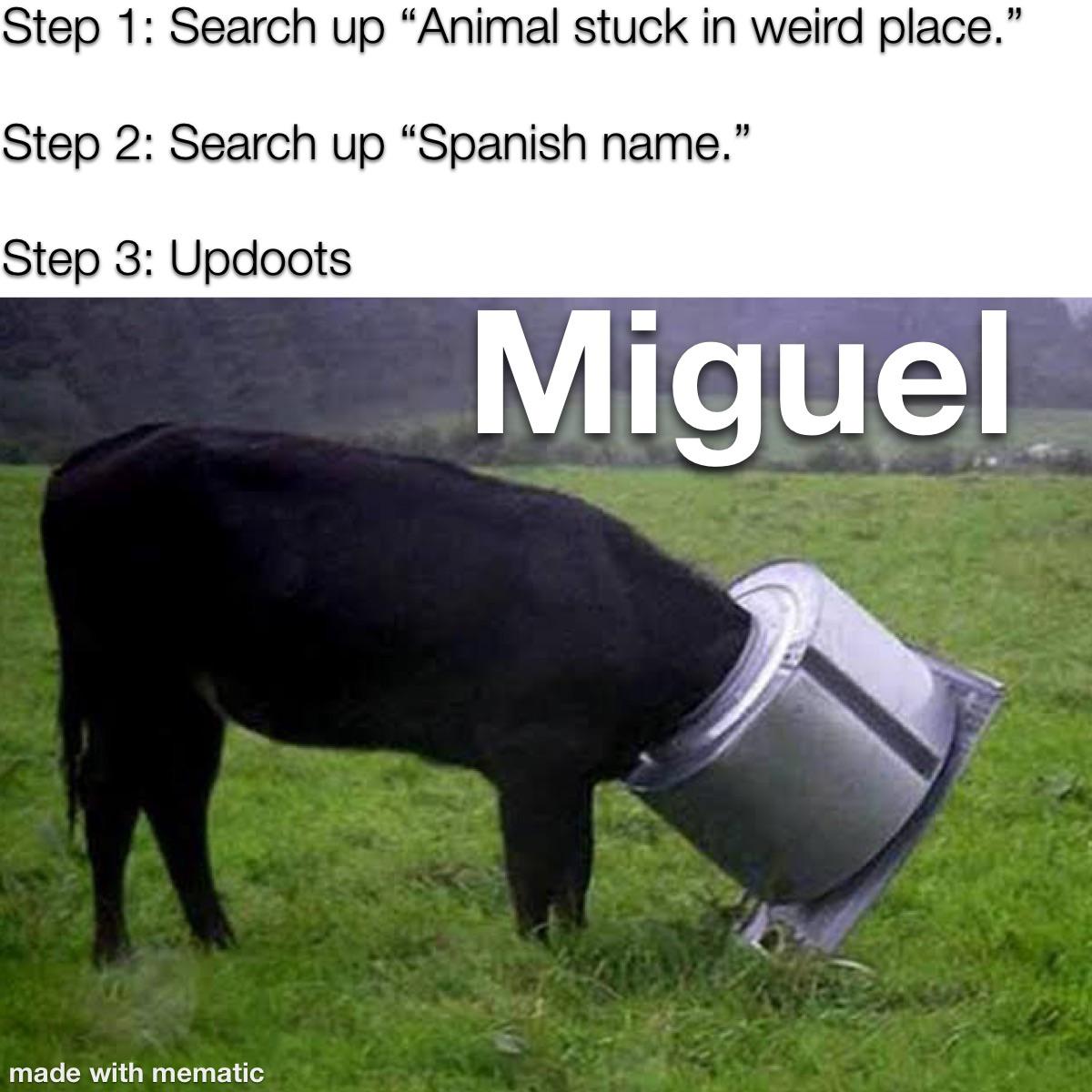 This is the formula we must live by | Scrolller