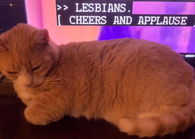 This is Toby. Toby is a cat. He lives with his human artist and supports lesbians | Scrolller