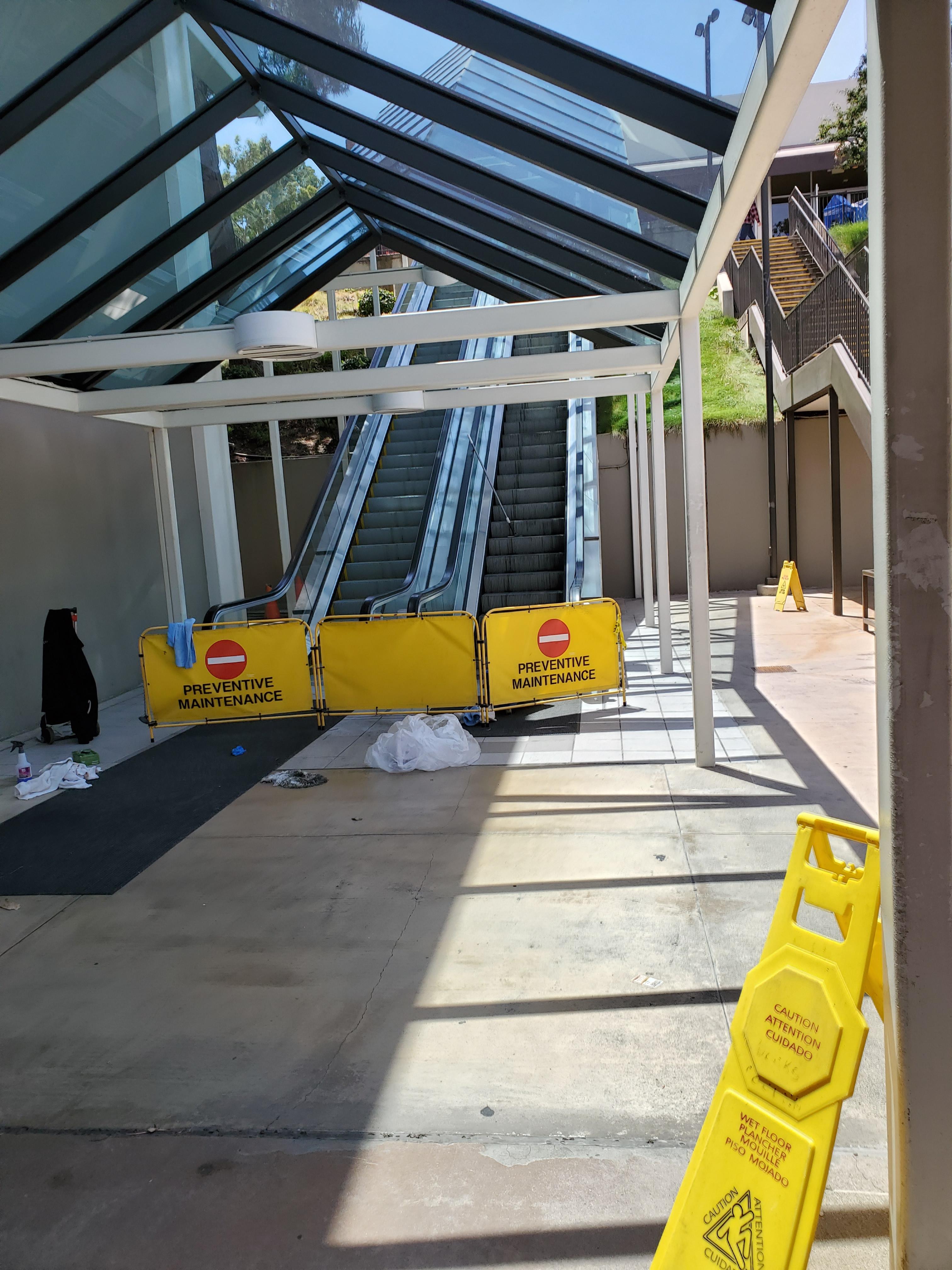 This is what happens when we voted for anyone except the escalators | Scrolller