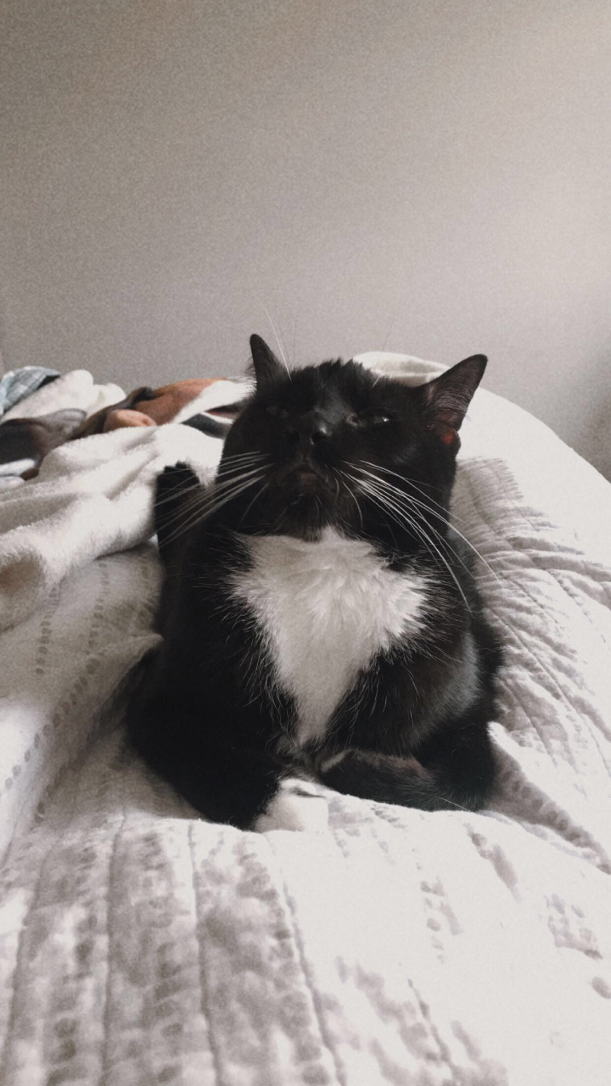 This little handsome devil 💕 | Scrolller