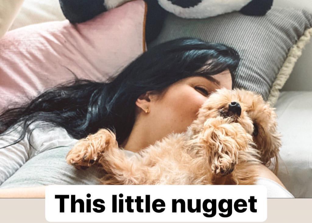 This little nugget | Scrolller