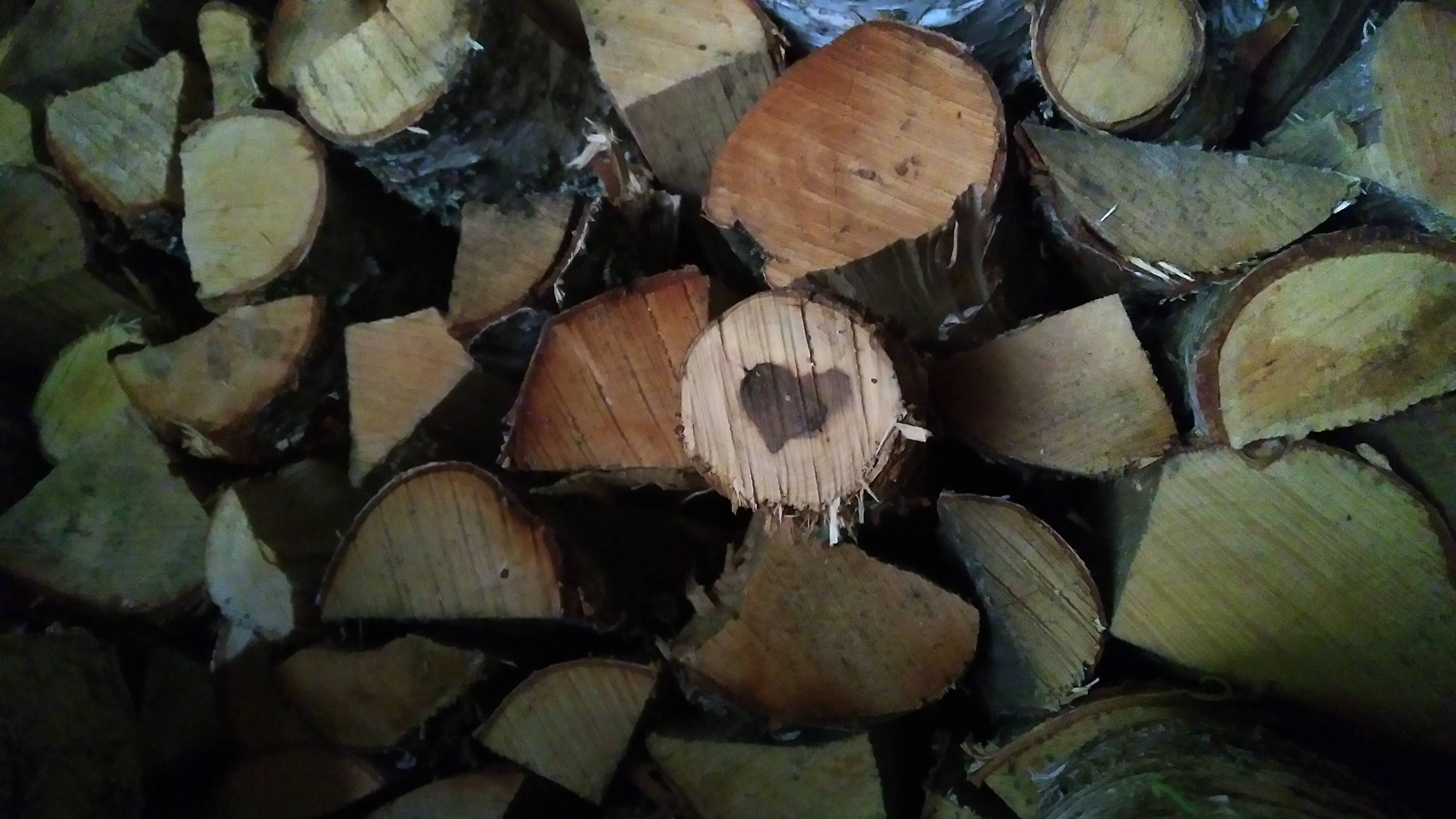 This log caught my eye while stacking :)
