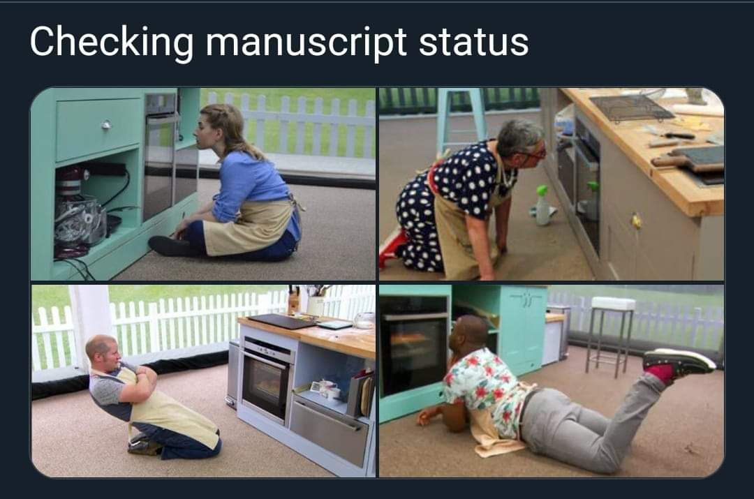 This long process | Scrolller