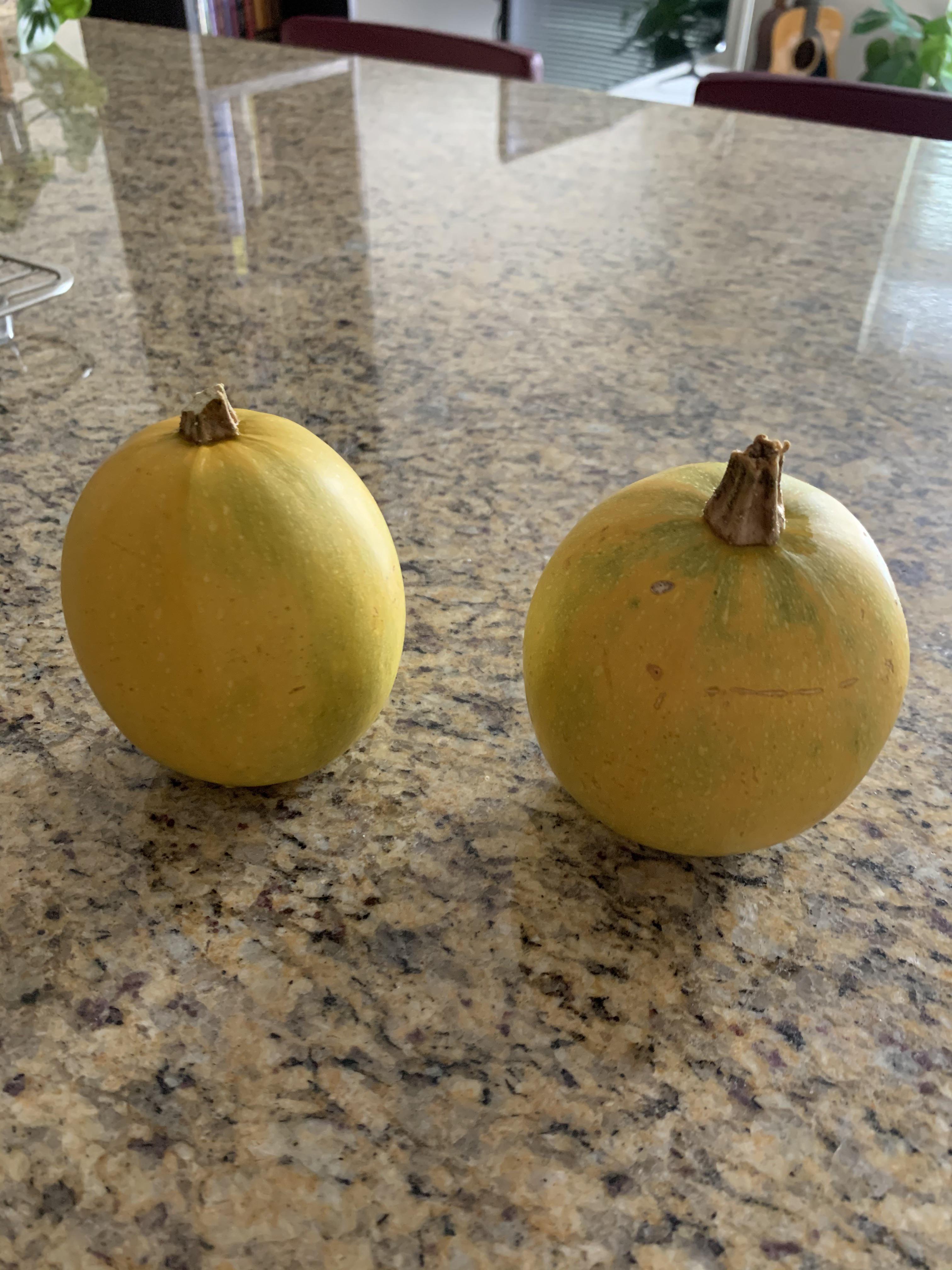 This looks like some kind of squash? | Scrolller