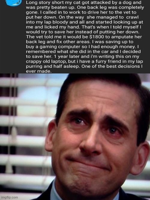 This mad the big sad go away | Scrolller