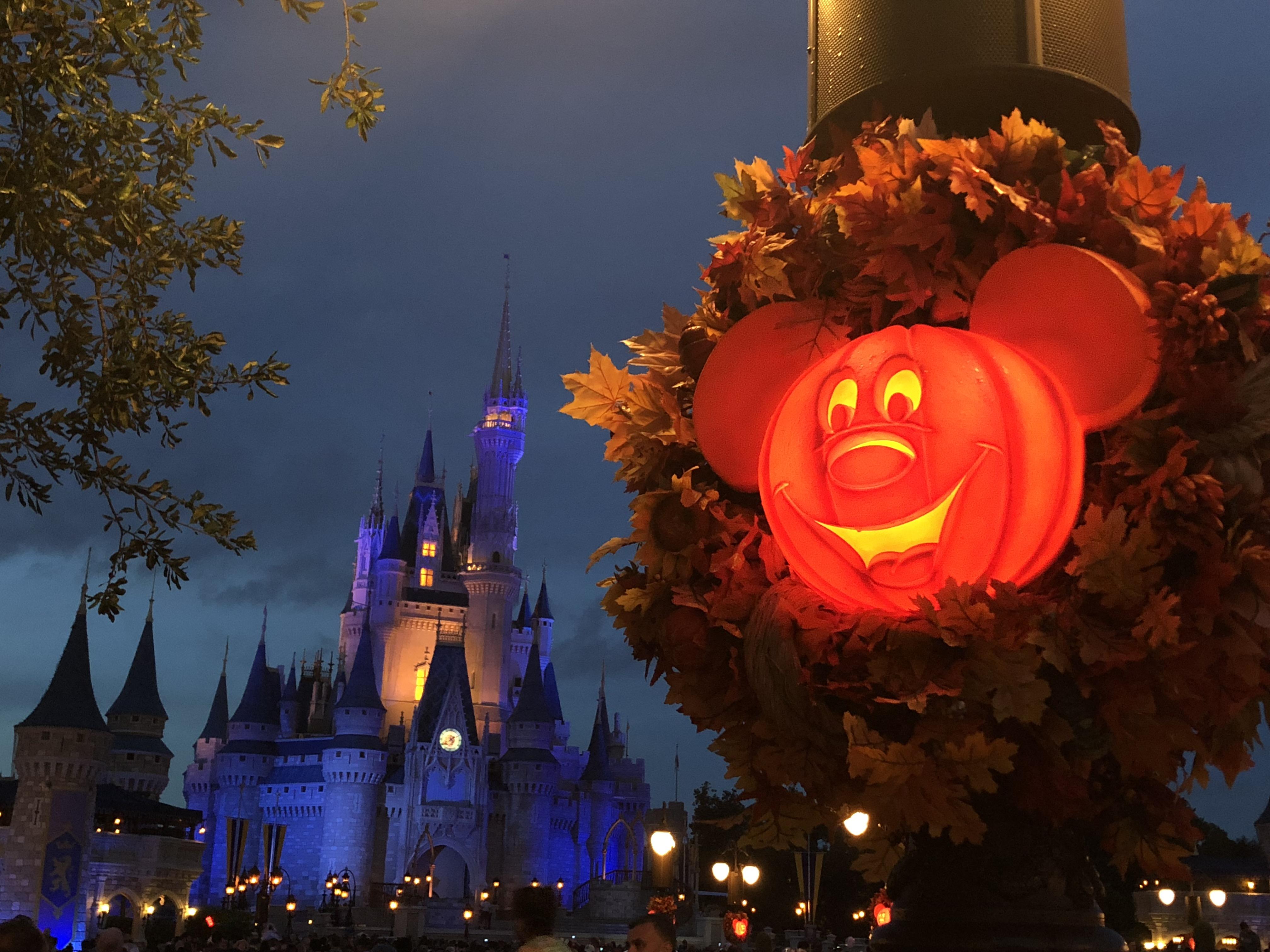 This may be my favorite time of year. | Scrolller