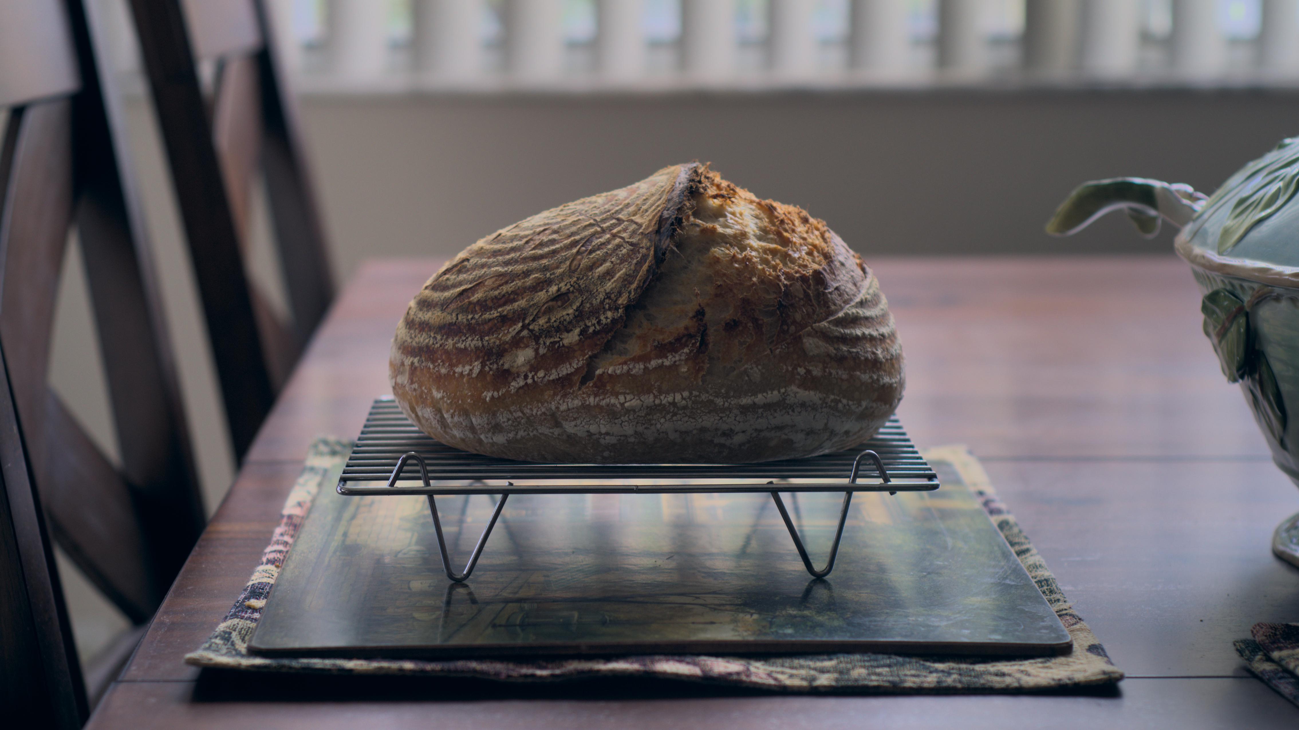 This morning's effort | Scrolller