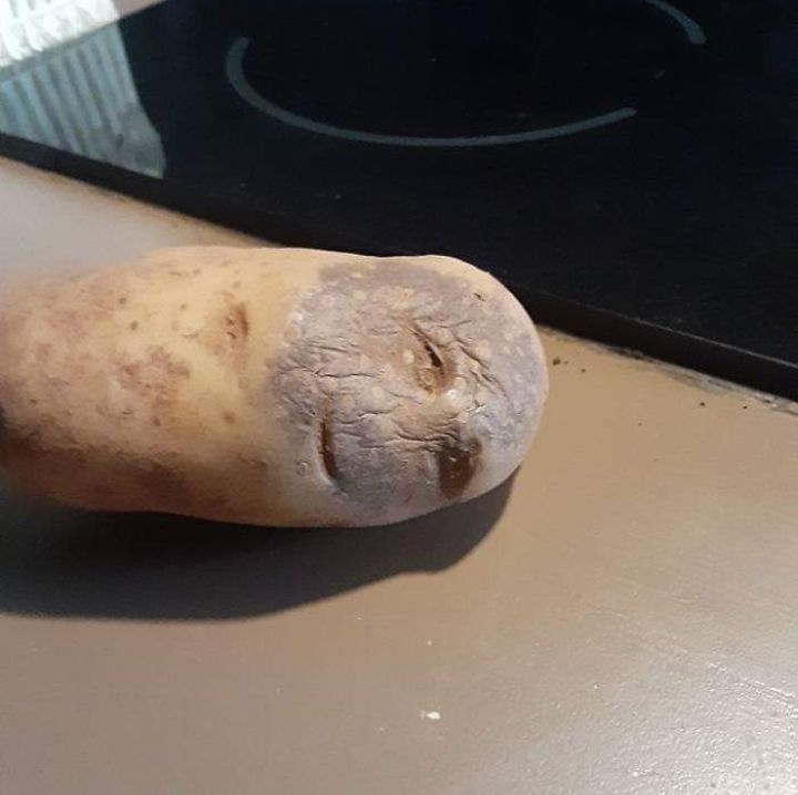 This potato. | Scrolller
