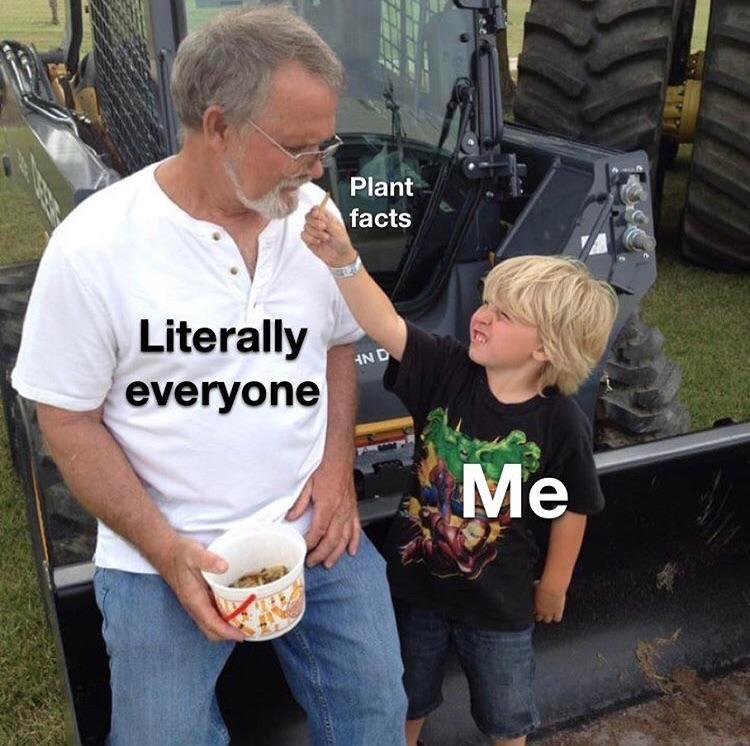 This seems fitting here | Scrolller