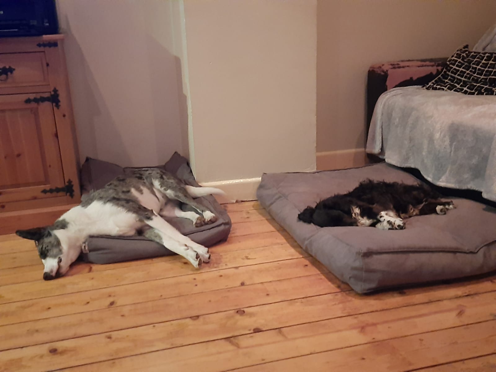 This seems right. | Scrolller