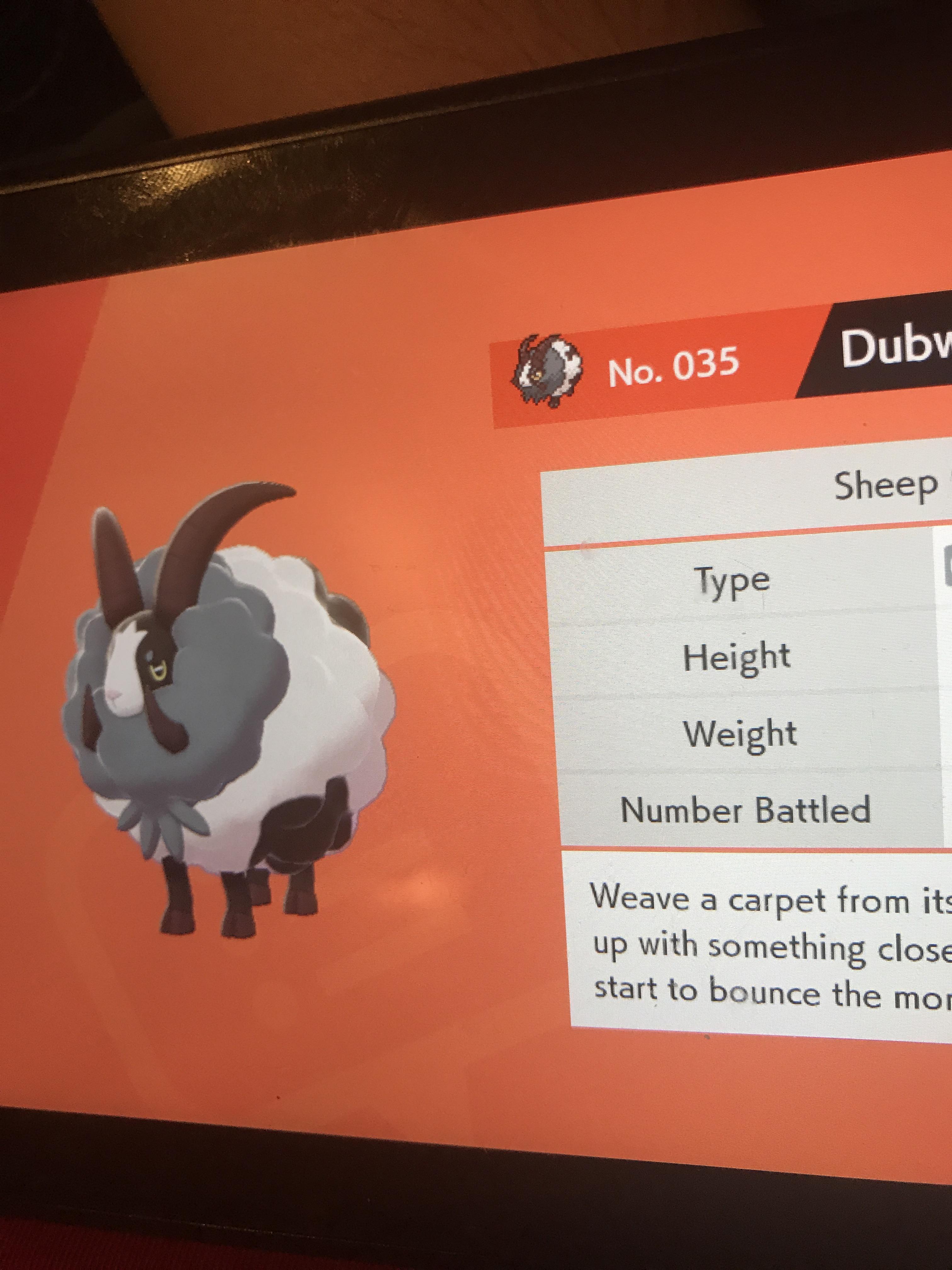 This sheep needs a name | Scrolller