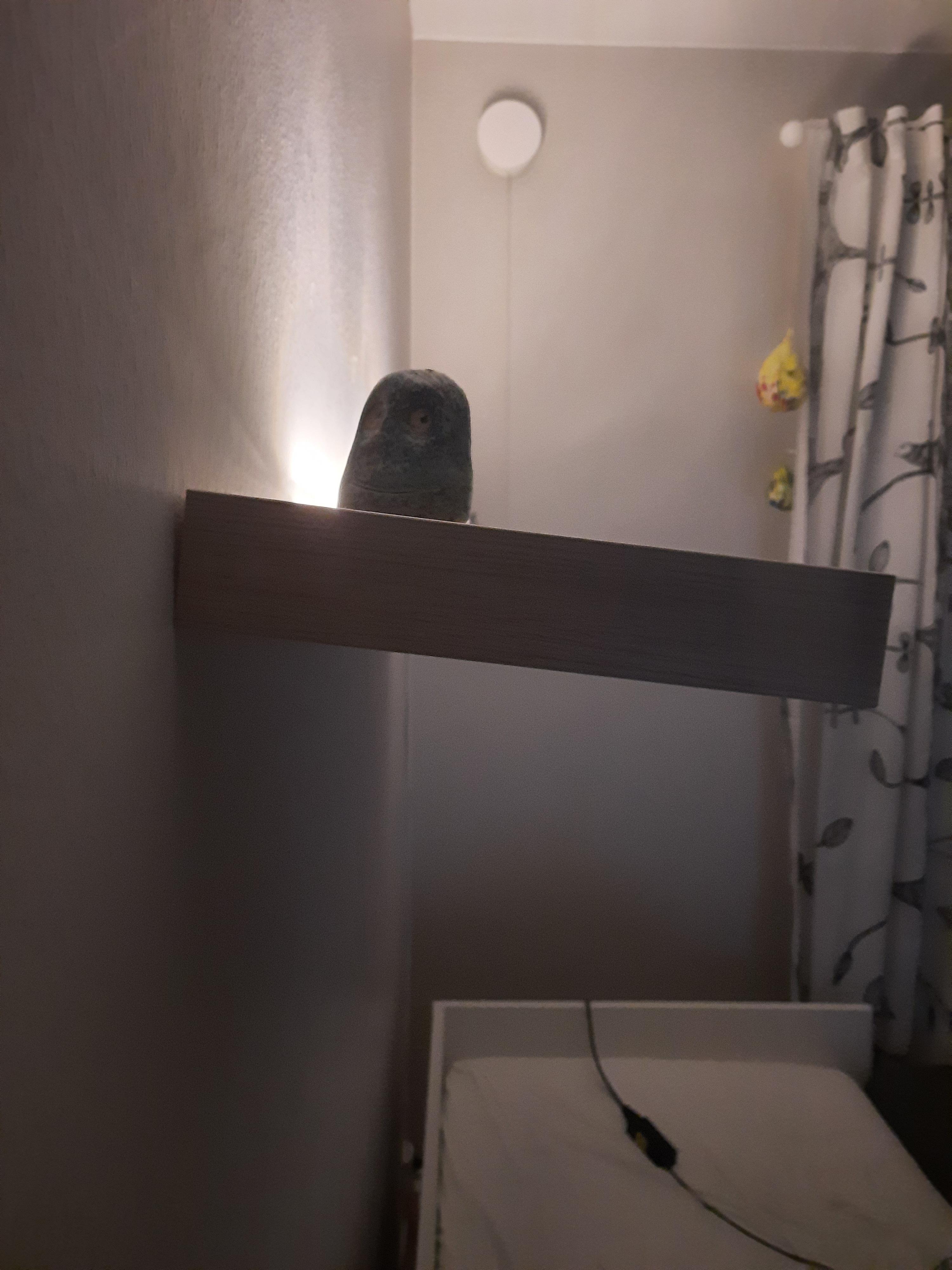 This shelf | Scrolller