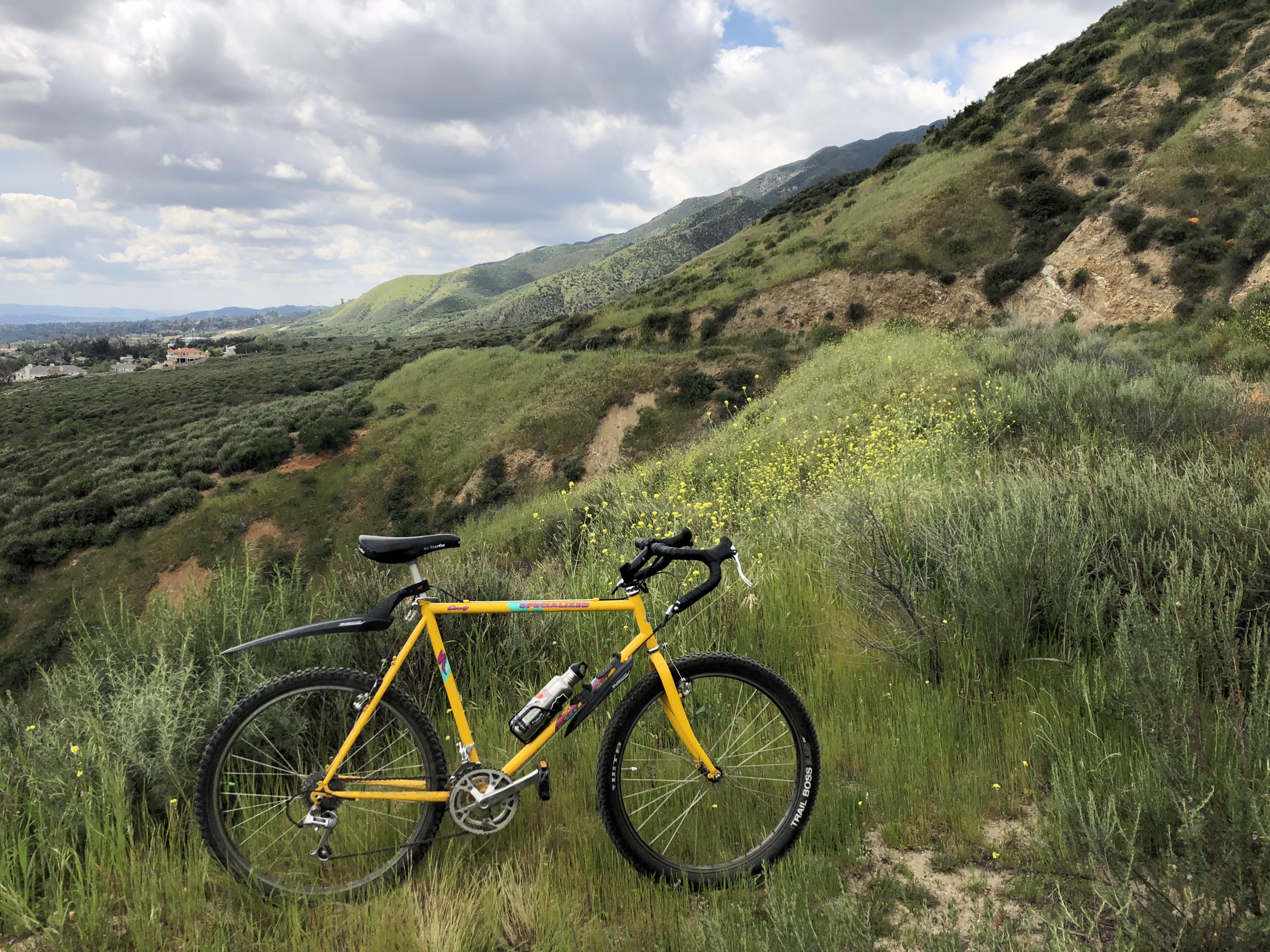 This sub is dope. Here's my Rockhopper | Scrolller