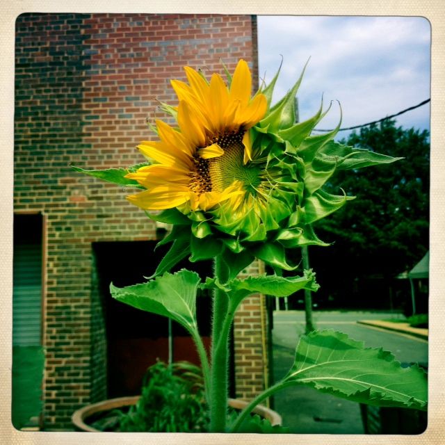 This thing is taking forever to load. | Scrolller