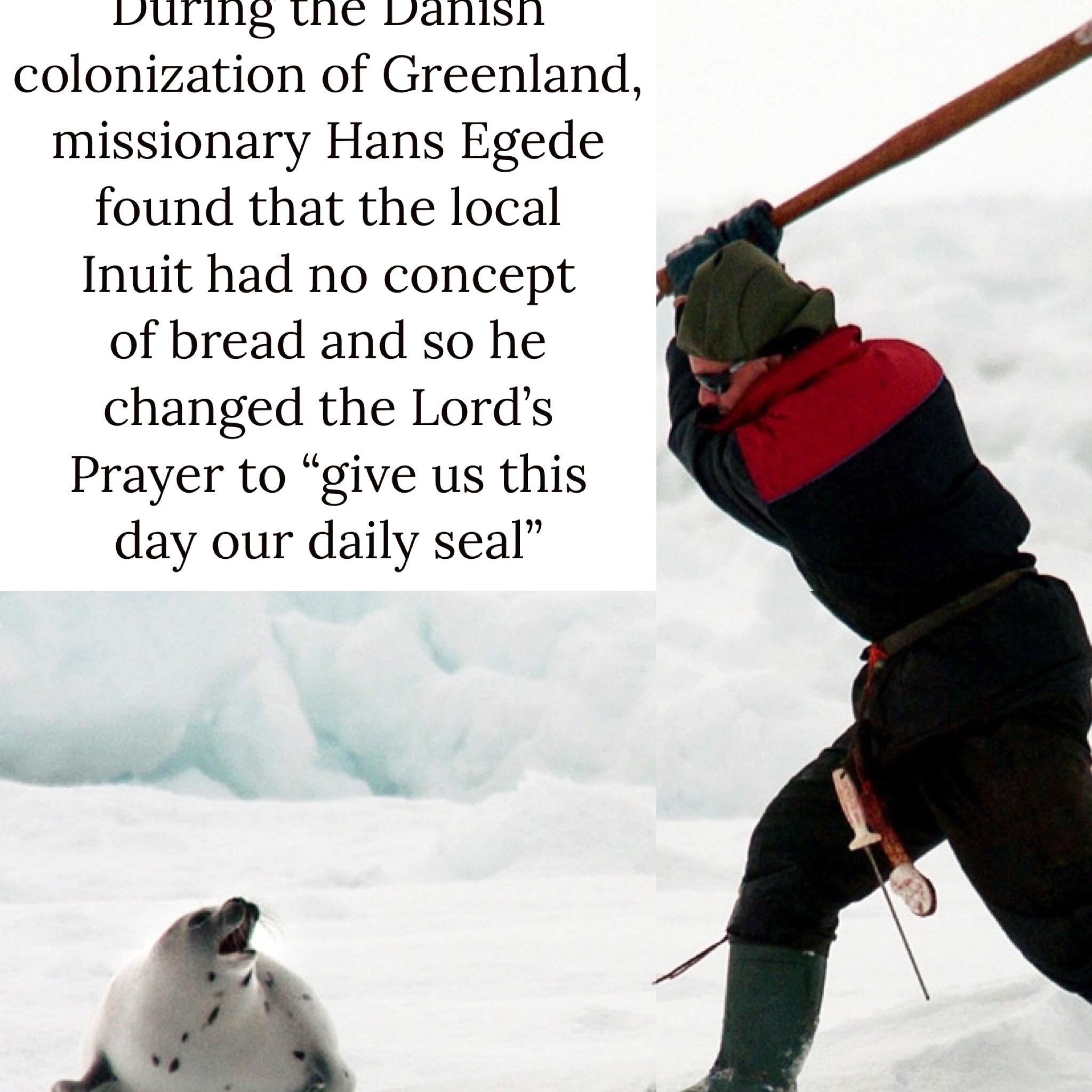 This won’t receive you seal of approval... | Scrolller