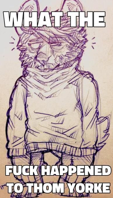 thom_irl | Scrolller