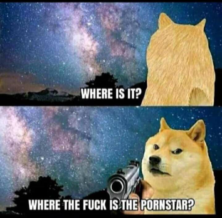 Those bastards lied to me | Scrolller