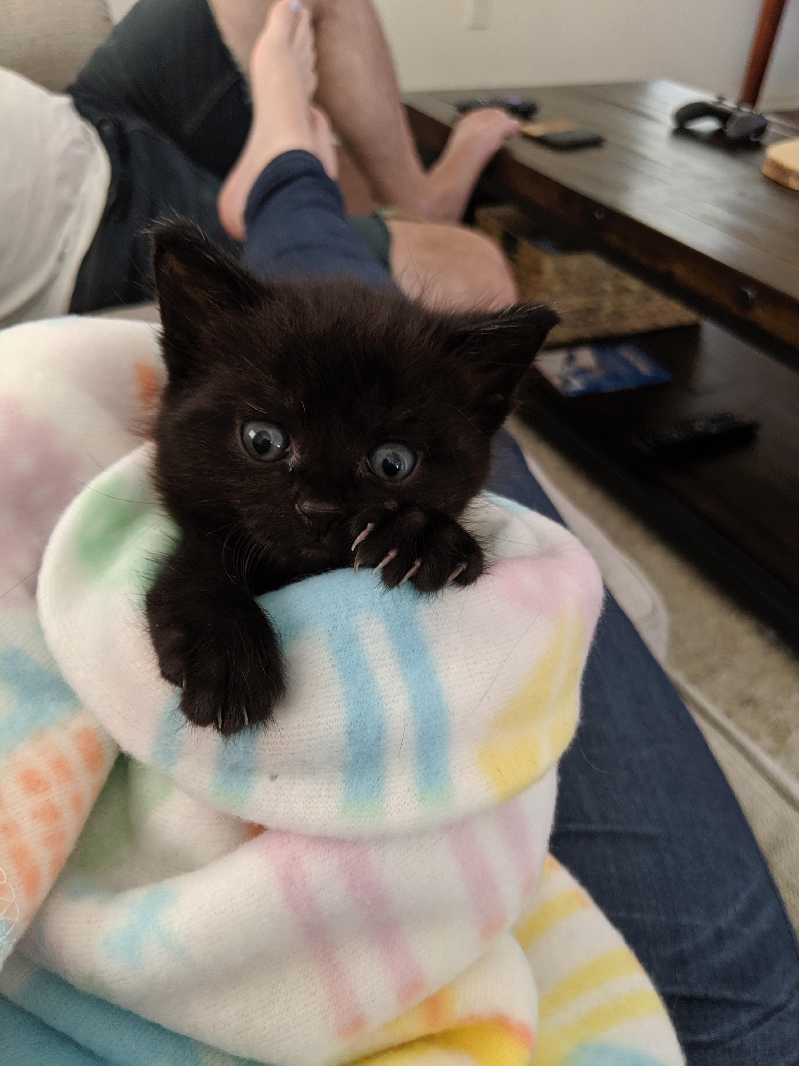 Those claws are VICIOUS | Scrolller