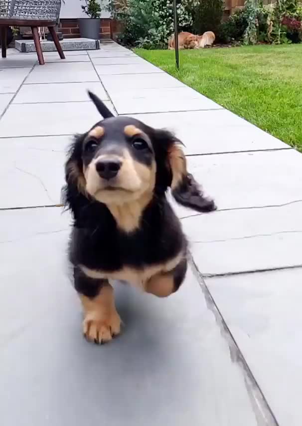 Those feet | Scrolller