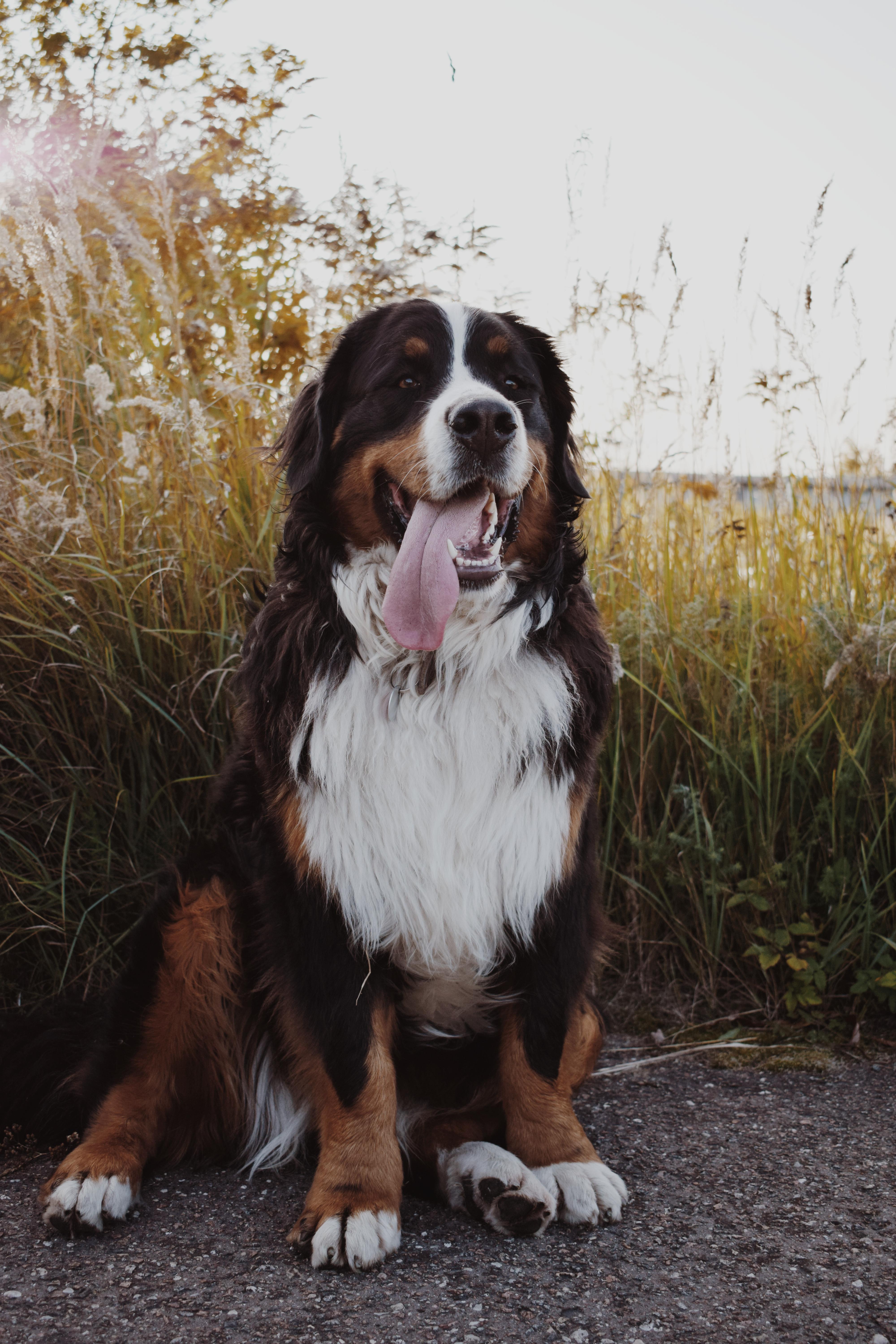 Those little paws 💕 | Scrolller