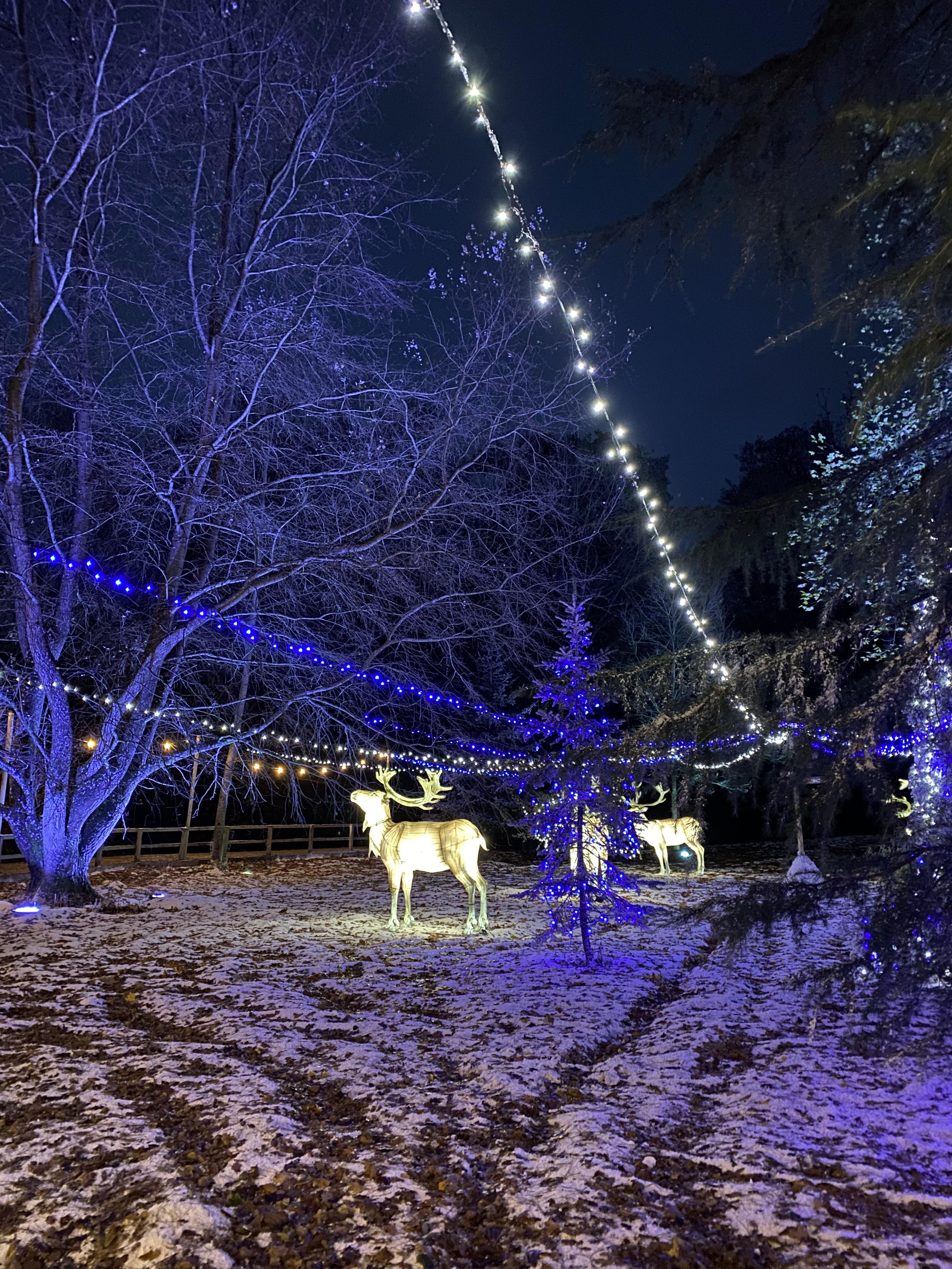 Thought I’d share these with you guys | Scrolller