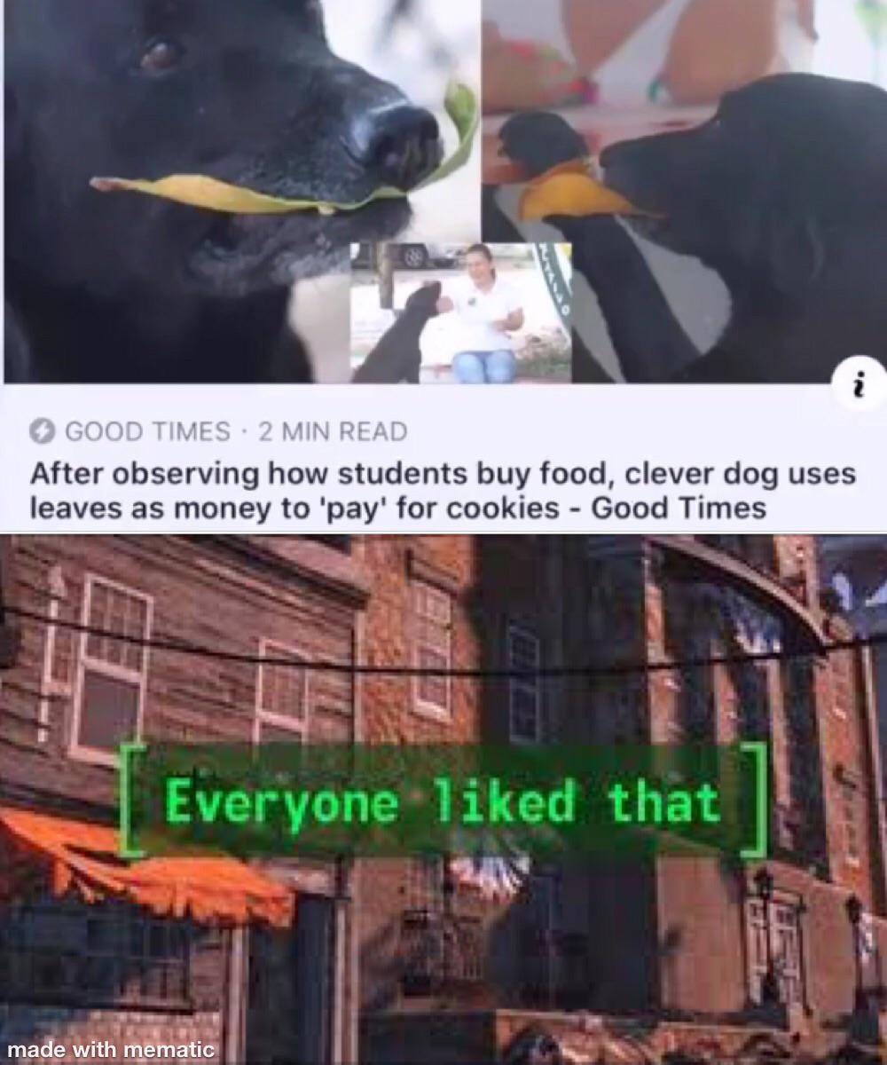 Thought this belonged here | Scrolller