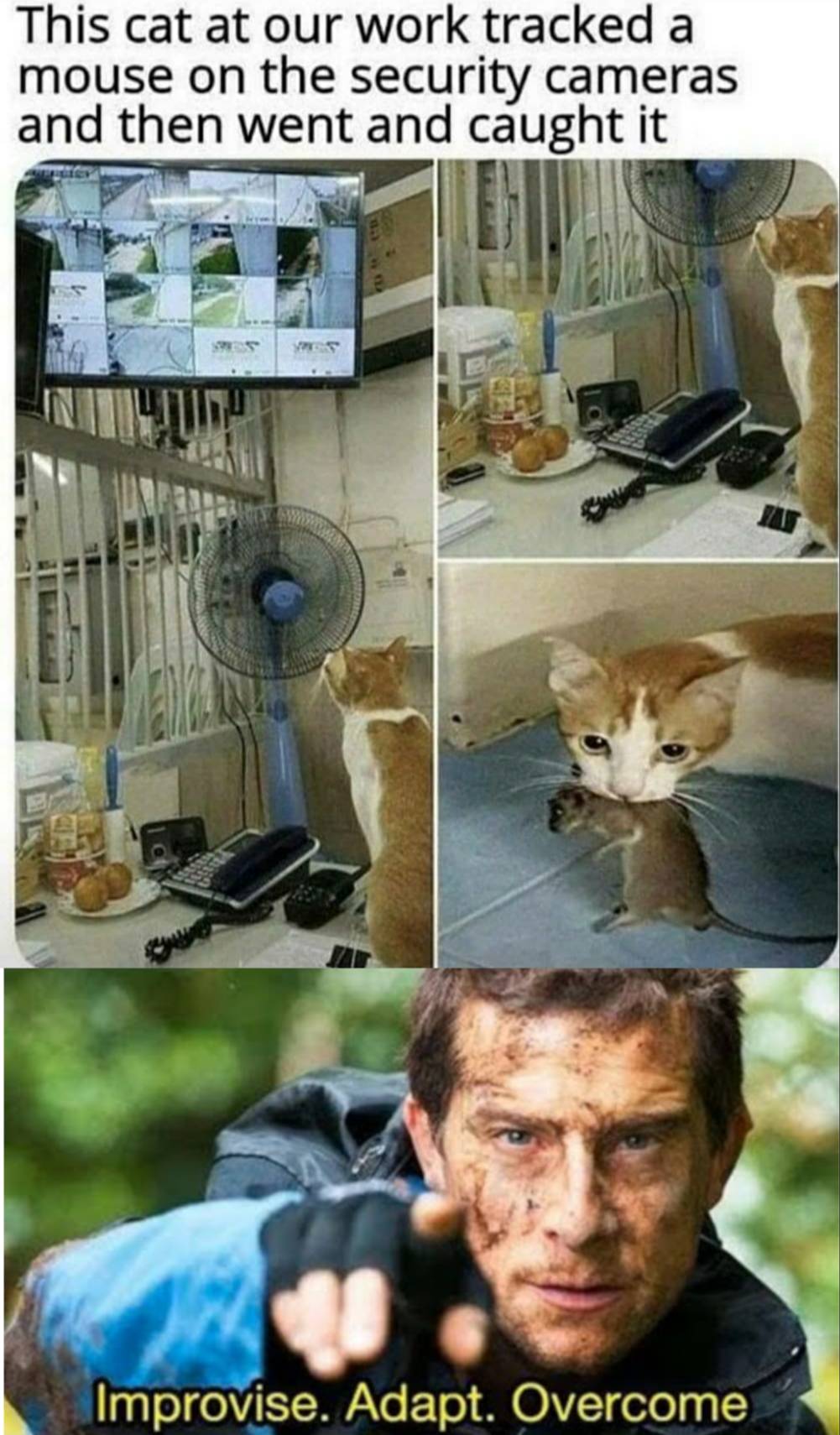 Thought this was fitting | Scrolller