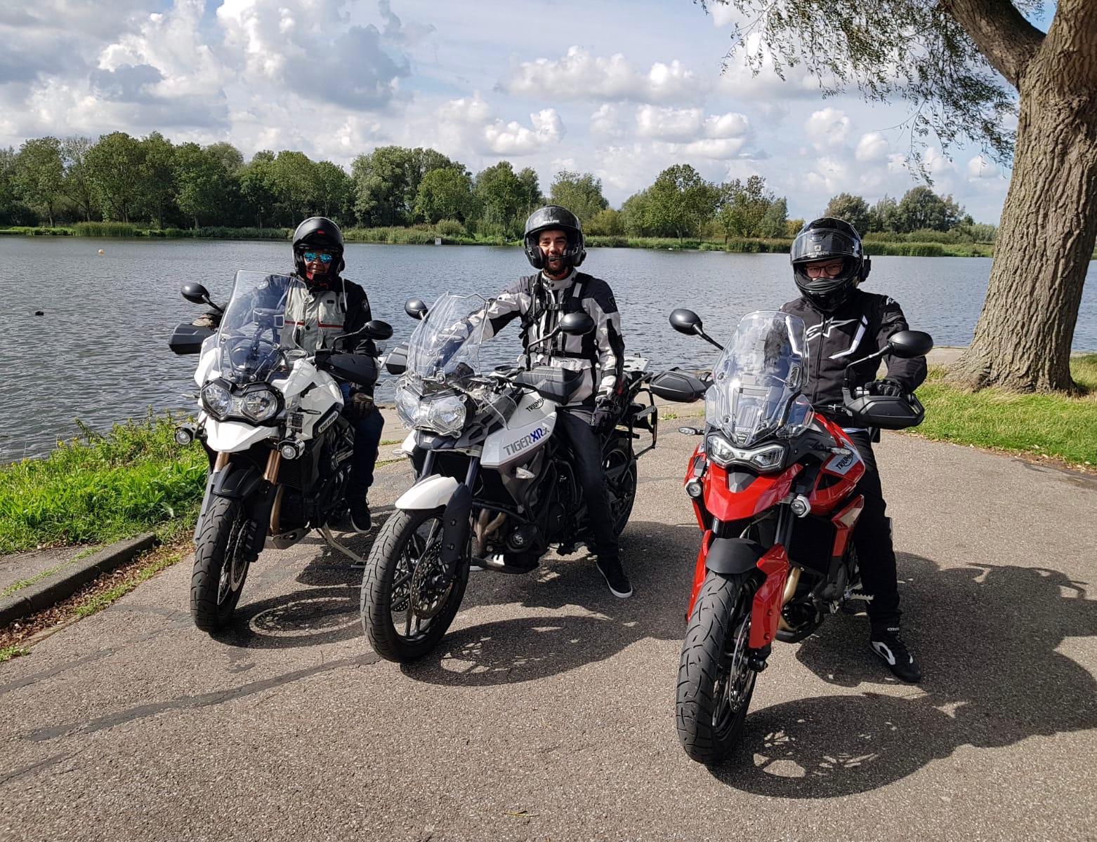 Three Tigers! | Scrolller