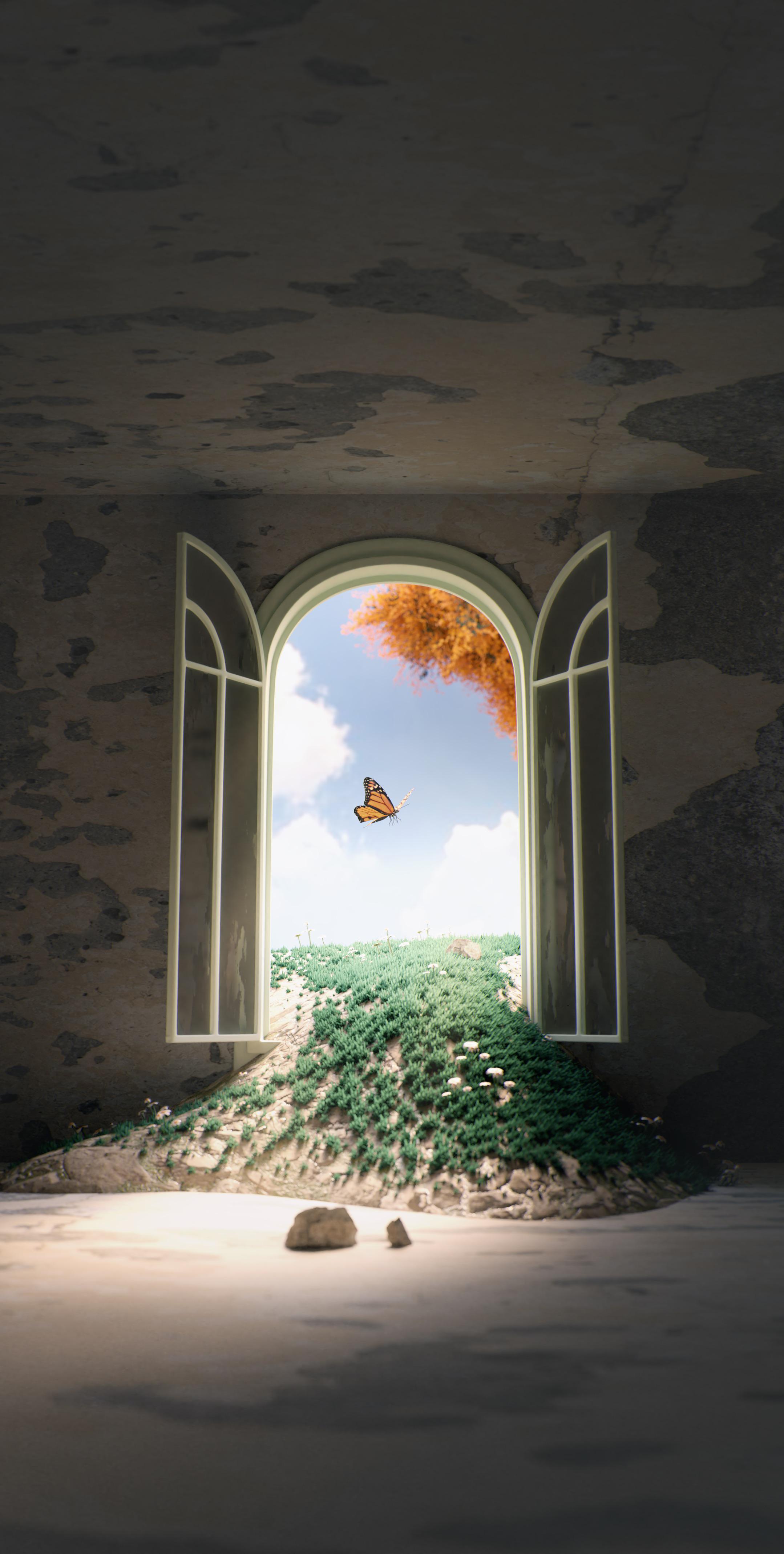 Through the window | Scrolller