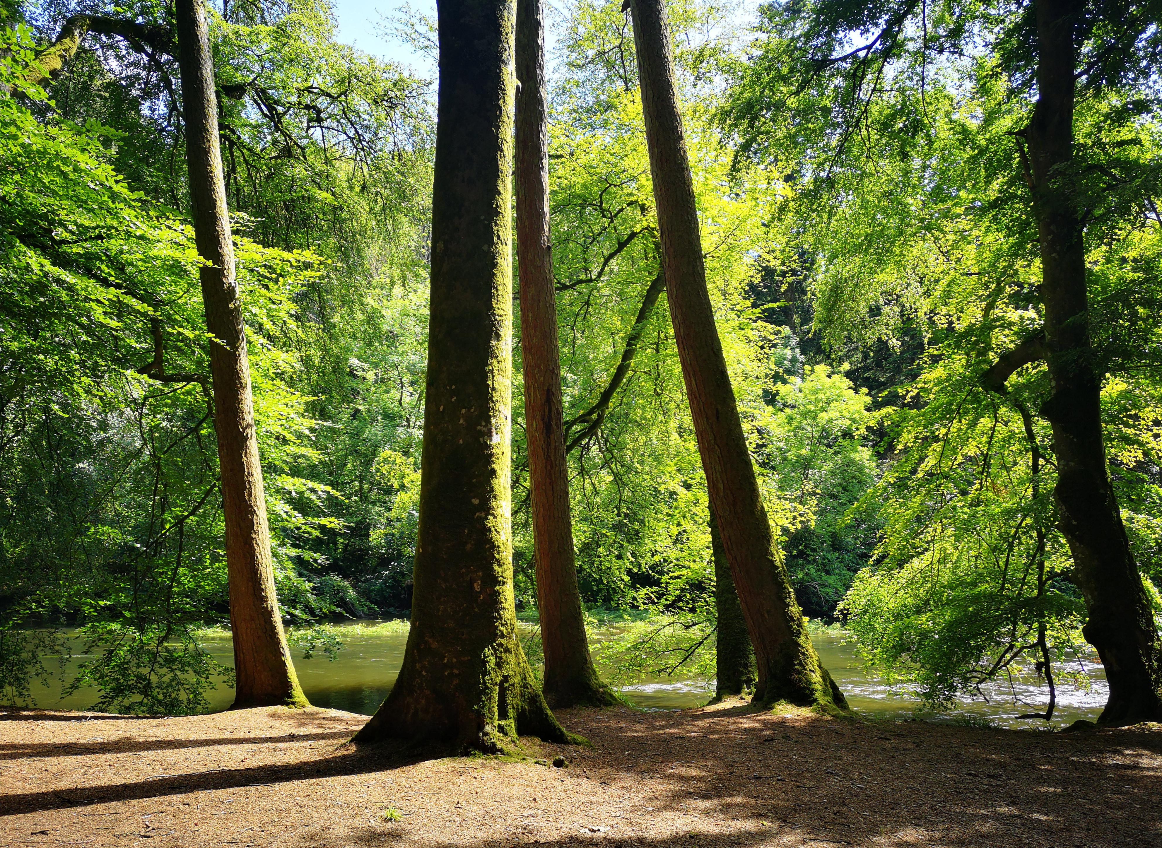 Throw back to summer, my favourite spot by the river | Scrolller