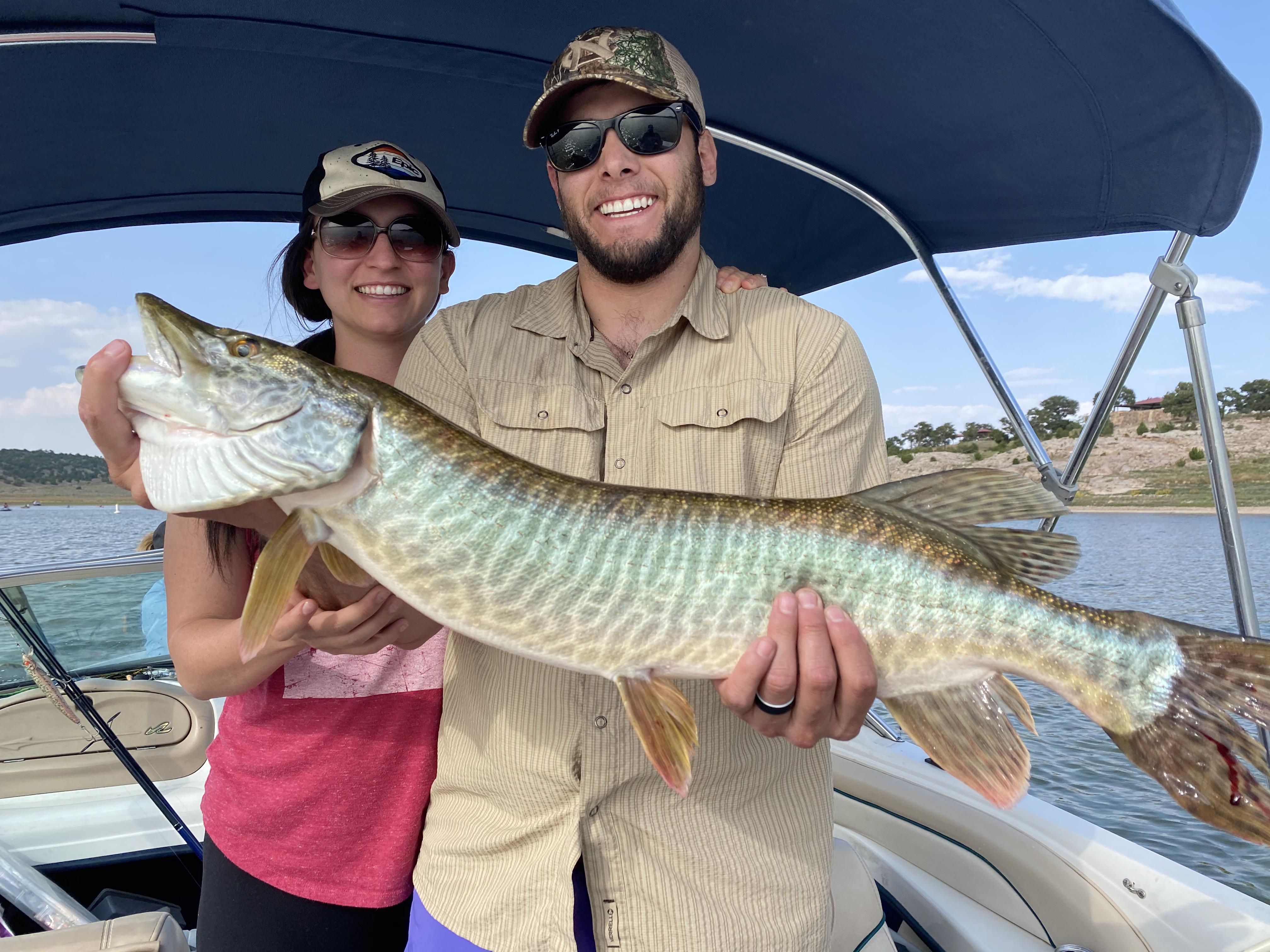 Tiger Muskie in New Mexico | Scrolller