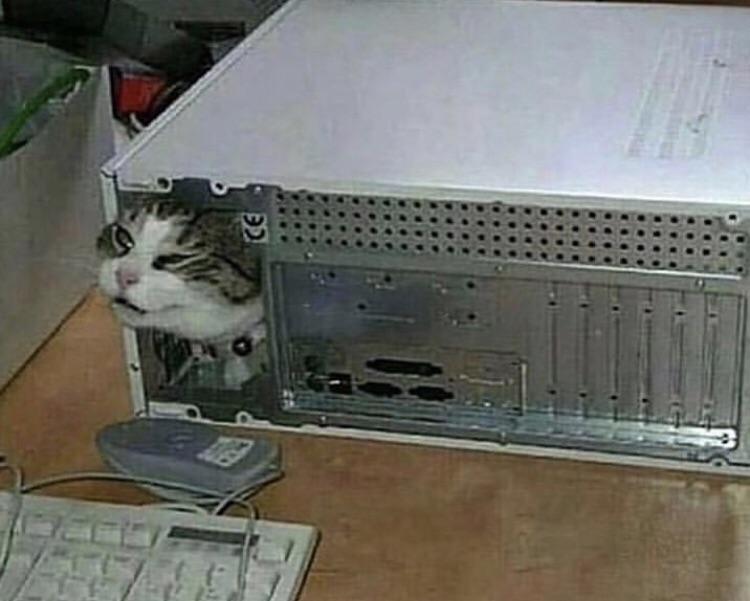 Tight Computer | Scrolller