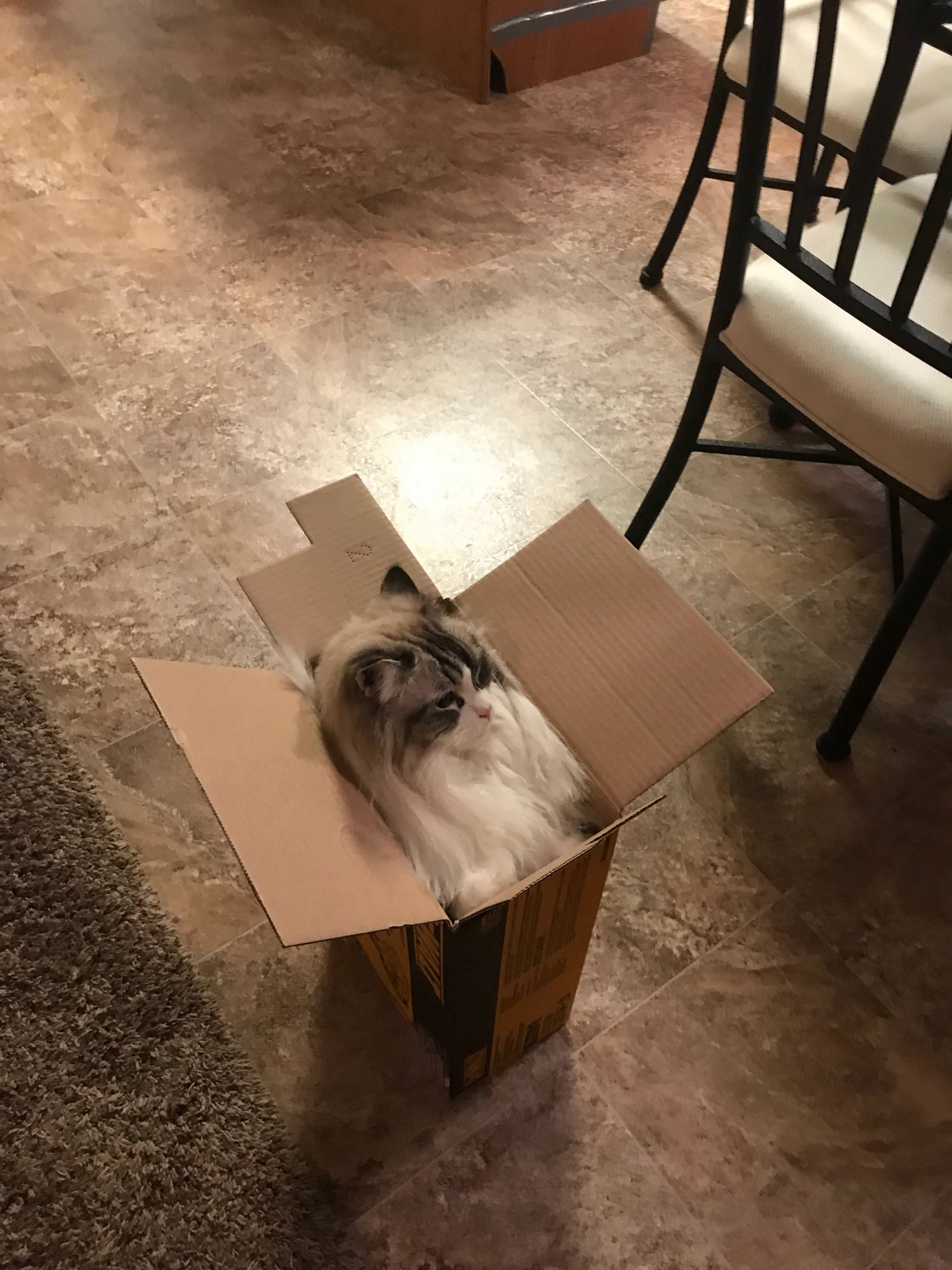 Tight squeeze | Scrolller