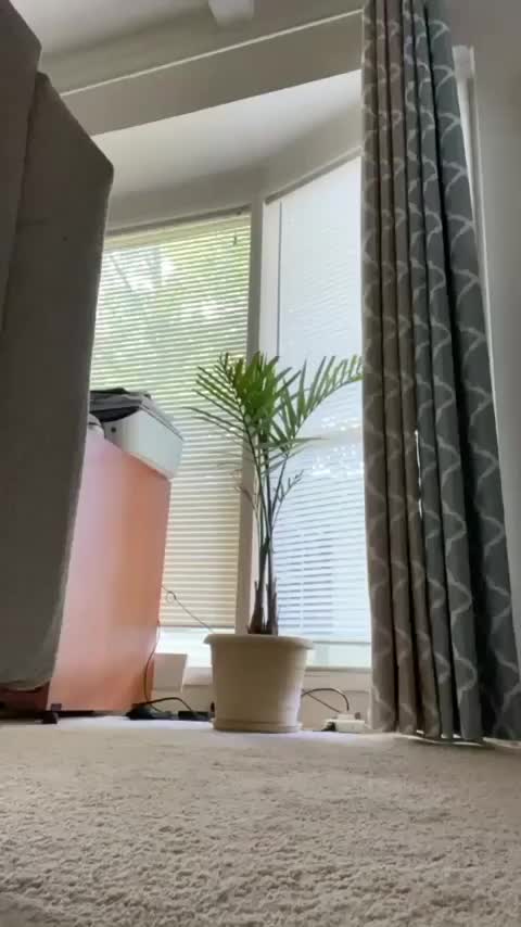 Time to Clean the House | Scrolller