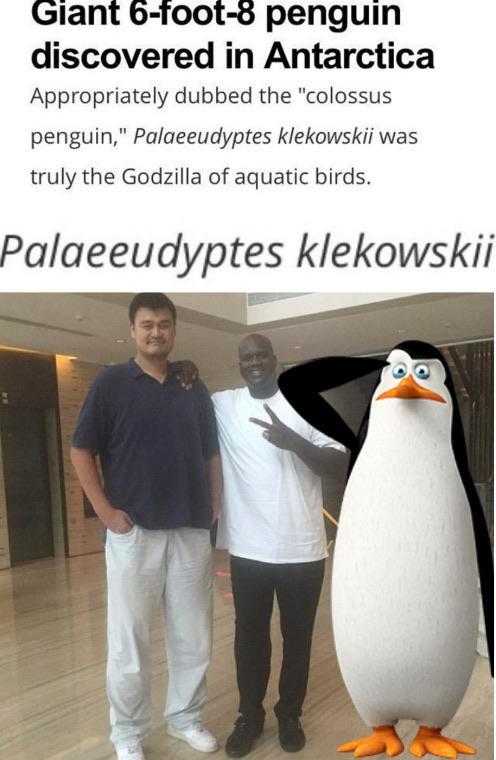 Time to revive this sub. | Scrolller