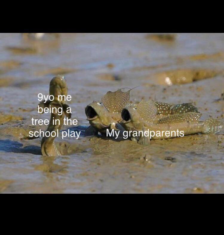 Time to tree. | Scrolller