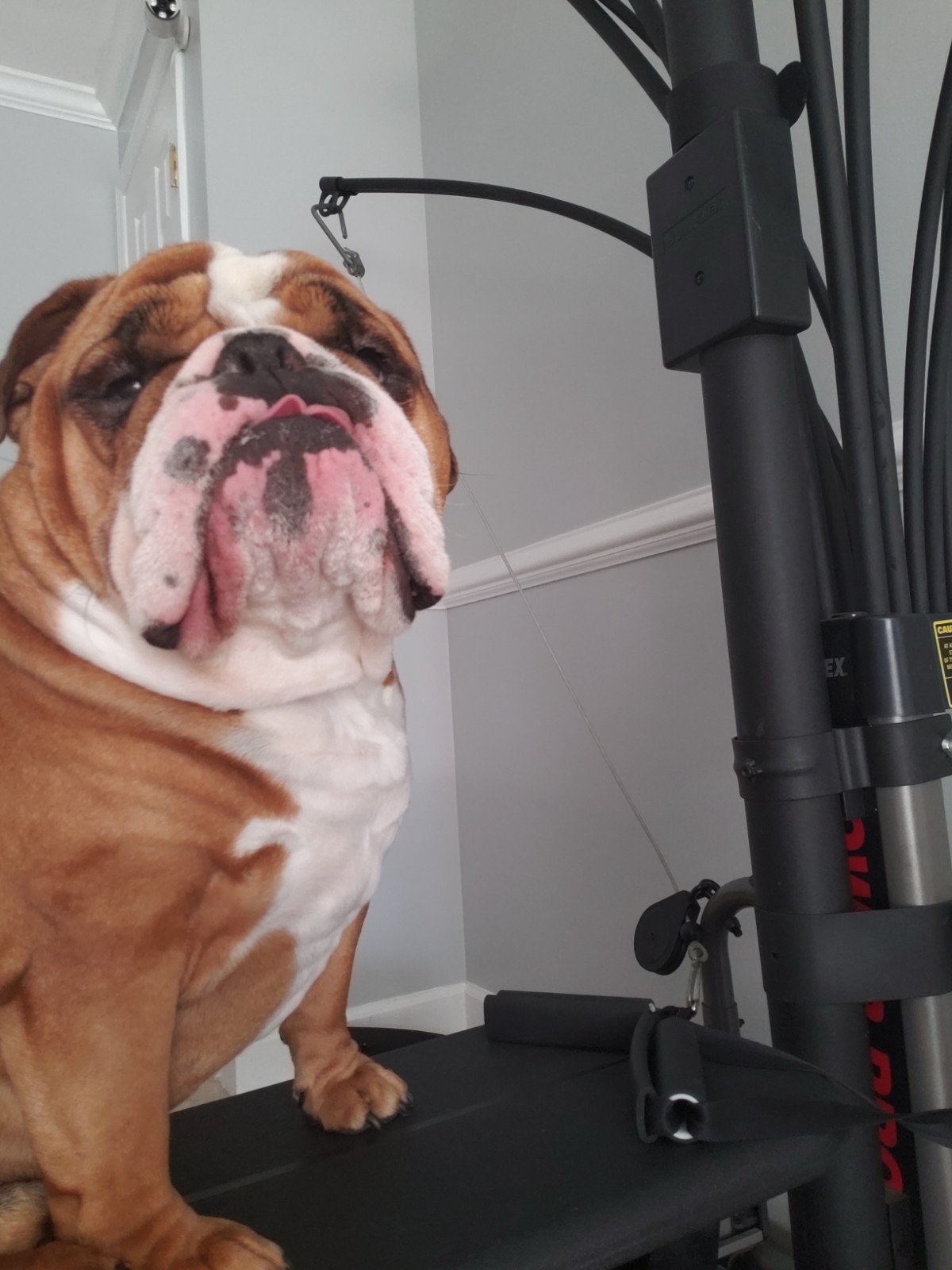 Time to workout! | Scrolller