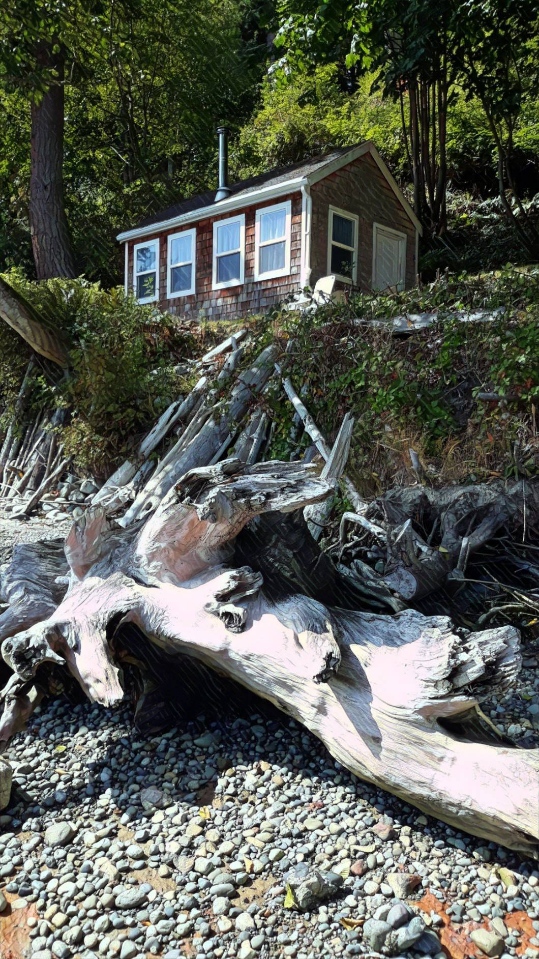 Tiny beach cabin on Puget Sound, WA State | Scrolller
