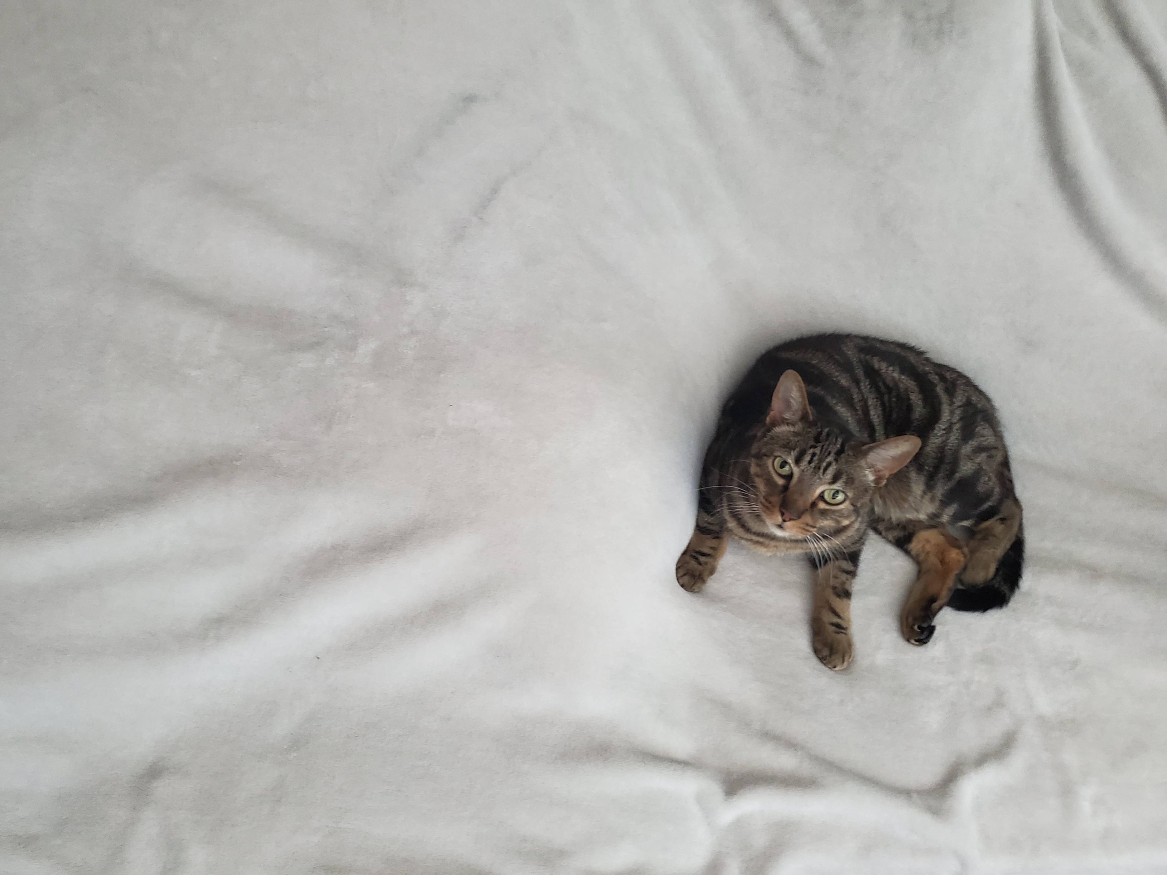 Tiny boy | Scrolller