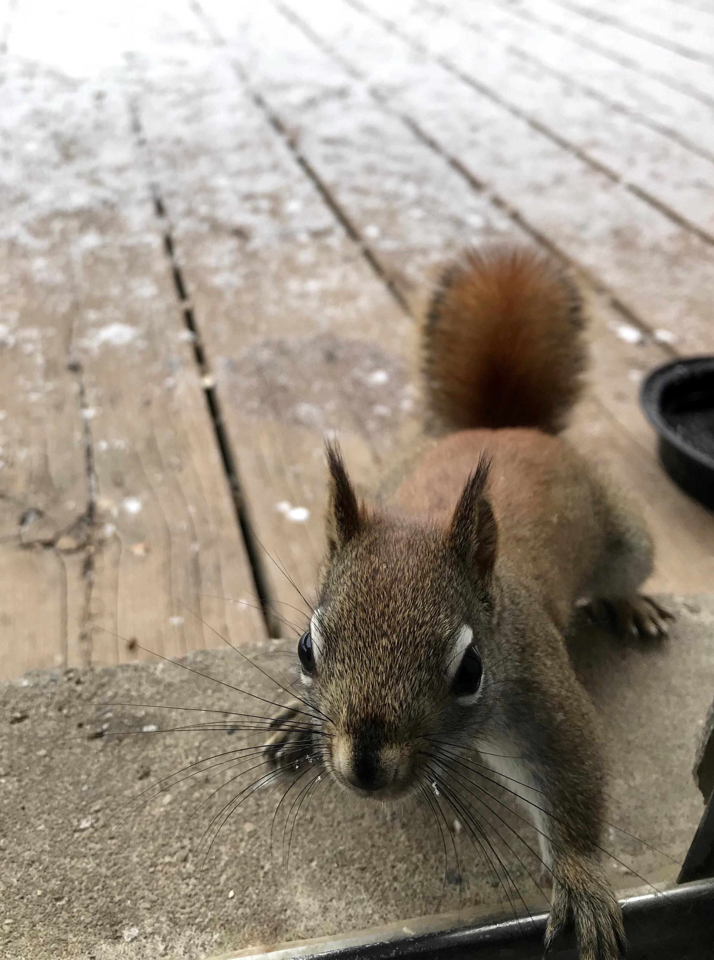 Tiny but mighty | Scrolller