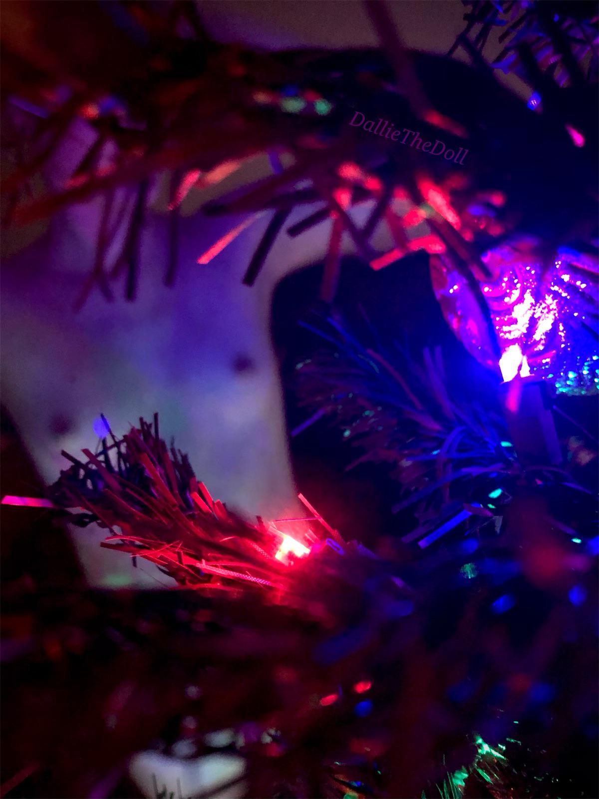 Tiny packages by the Christmas tree | Scrolller