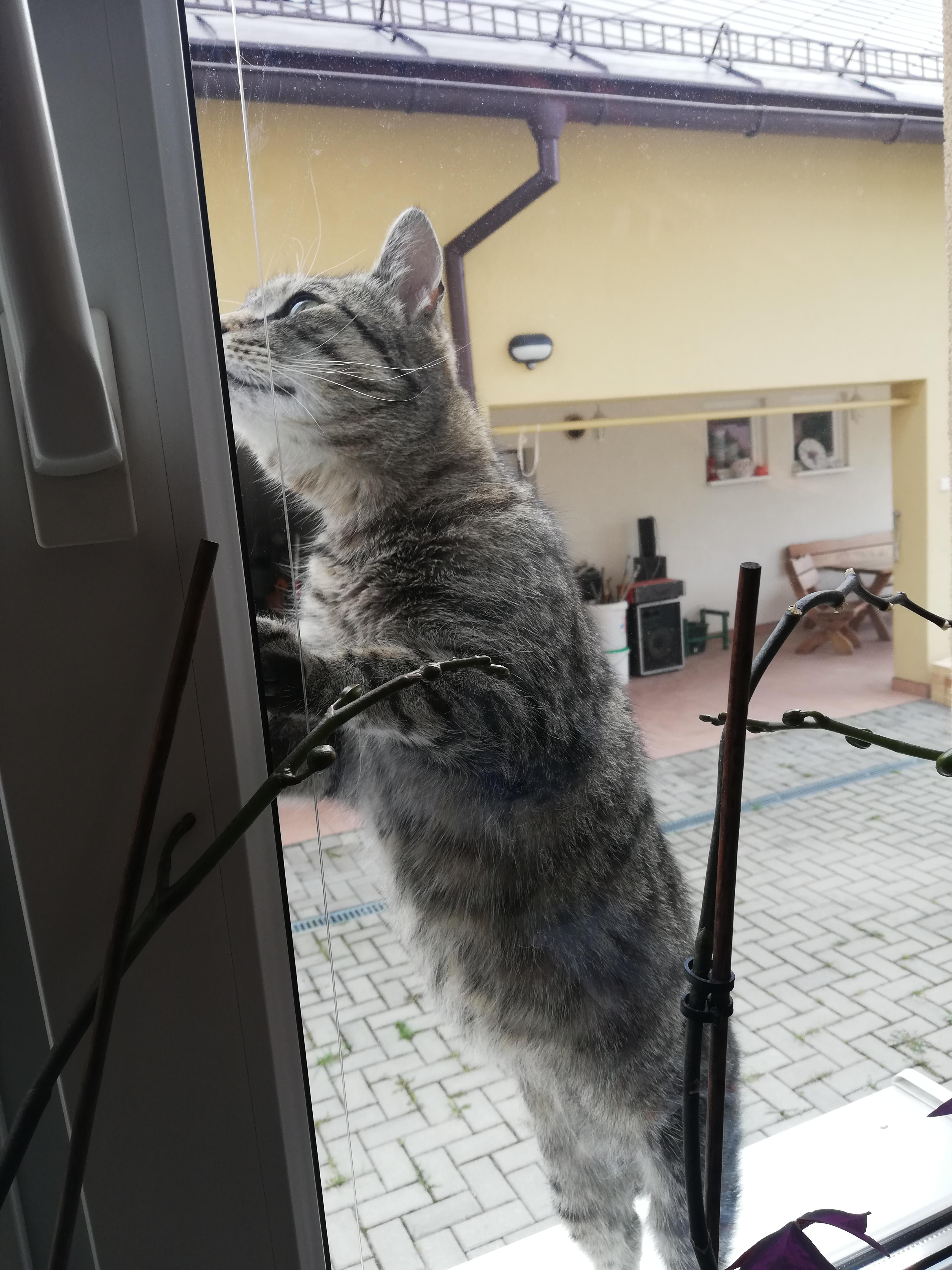 to open a window | Scrolller