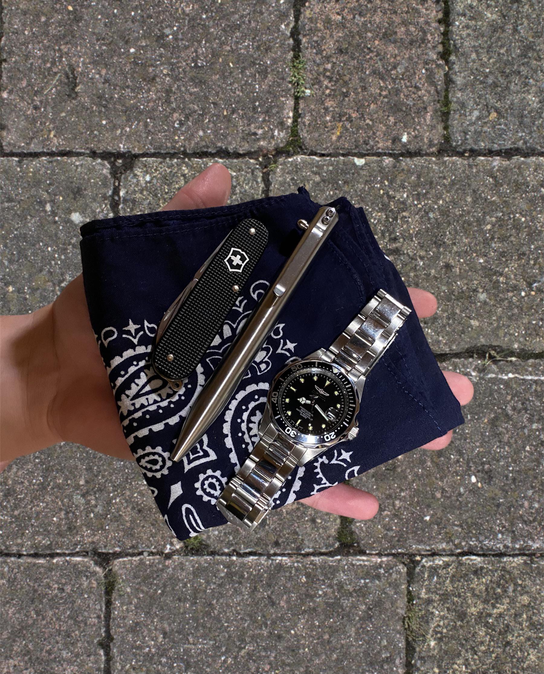 Today’s Carry | Scrolller